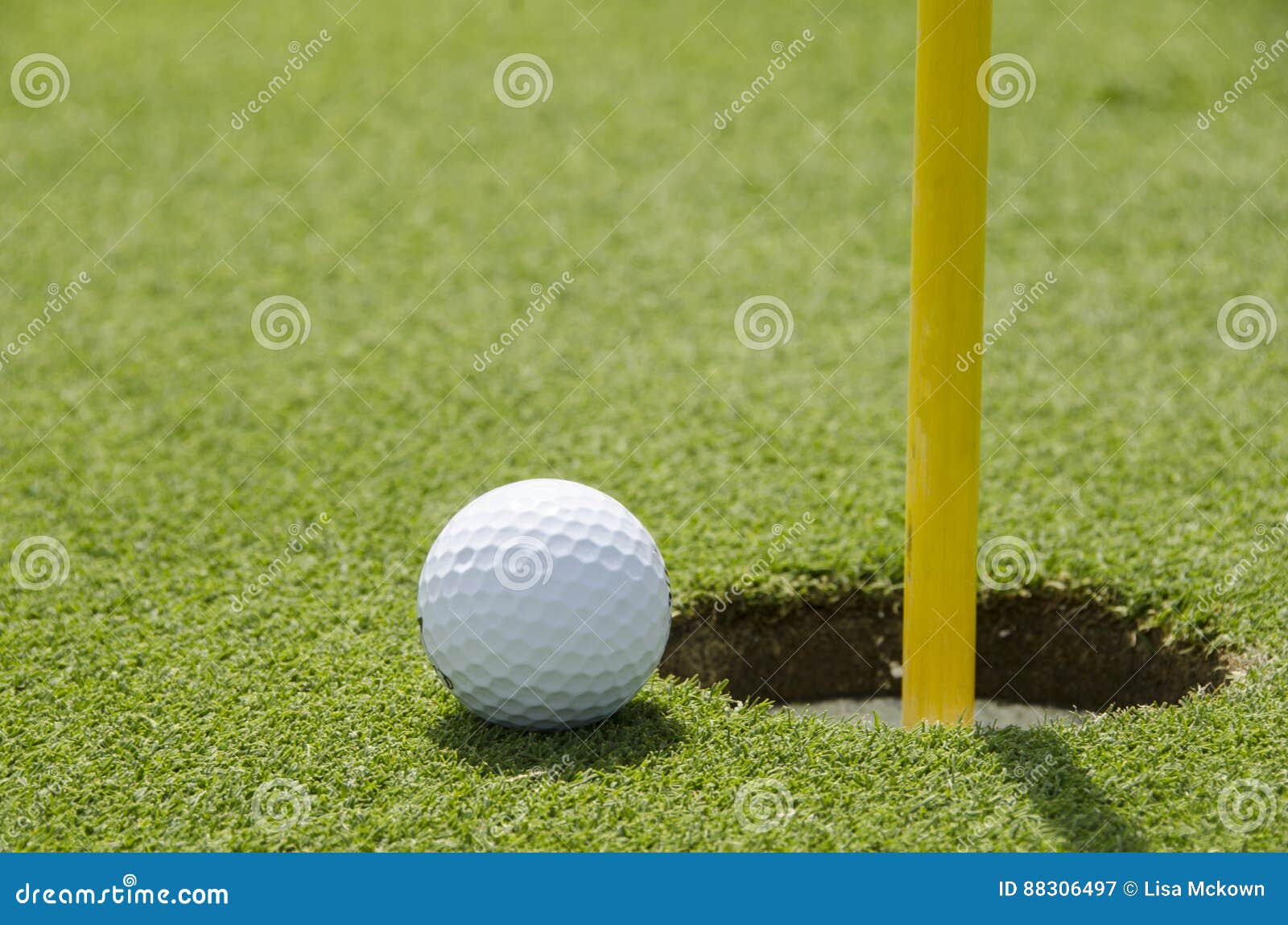 Golf turf stock image. Image of recreational, field, turf - 88306497