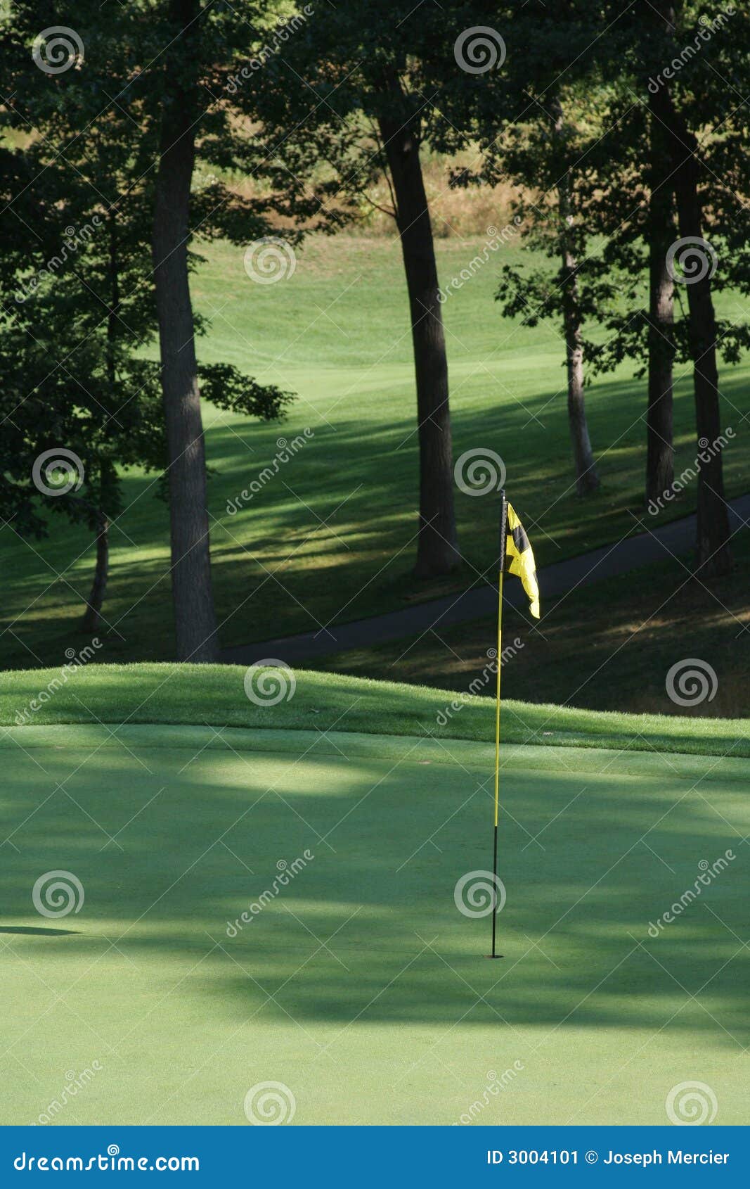 Golfcourse Flag stock image. Image of green, grass, active - 3004101