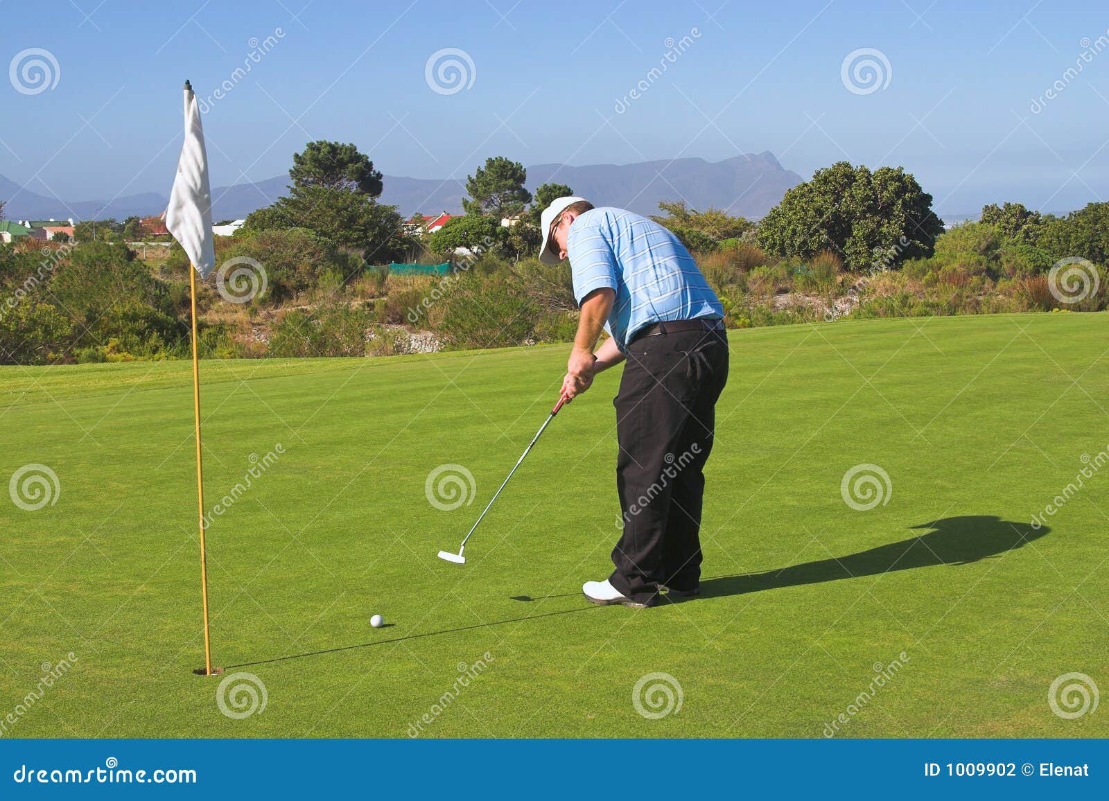 Golfer stock photo. Image of male, hole, play, golf, player - 1009902