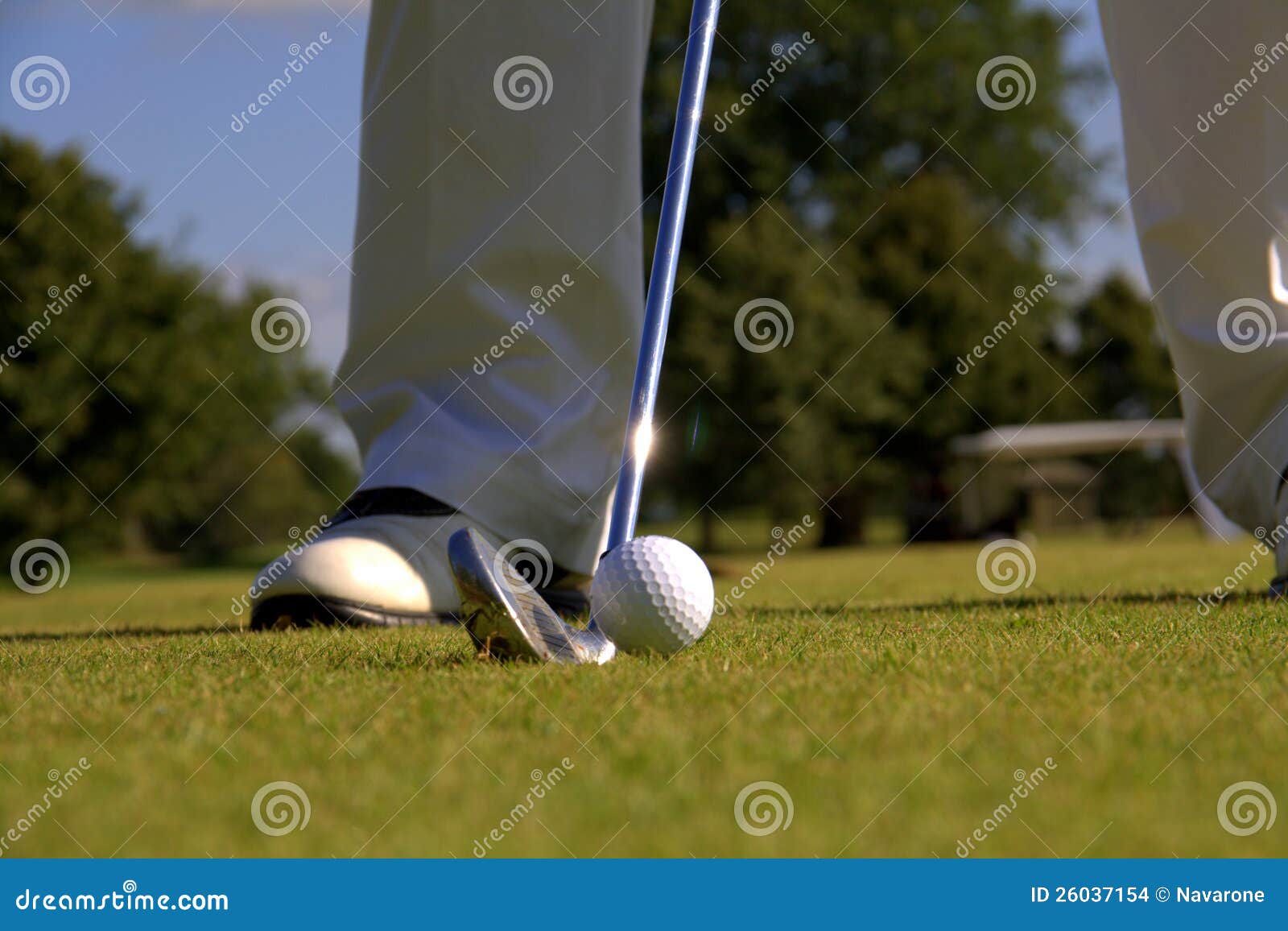 Golfer addressing ball stock photo. Image of trees, shoes - 26037154