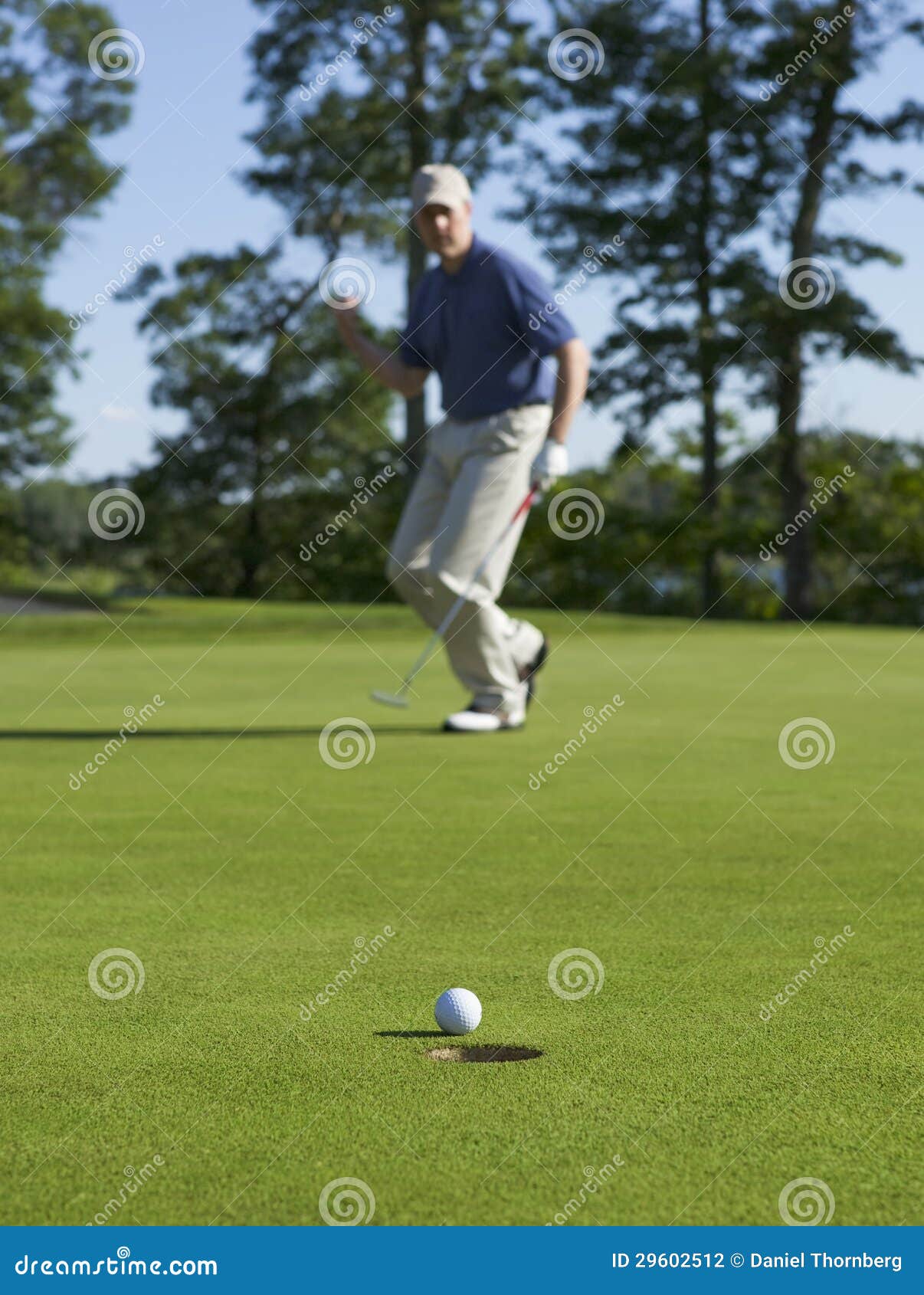 Golfer Sinking A Long Putt Royalty-Free Stock Photography ...