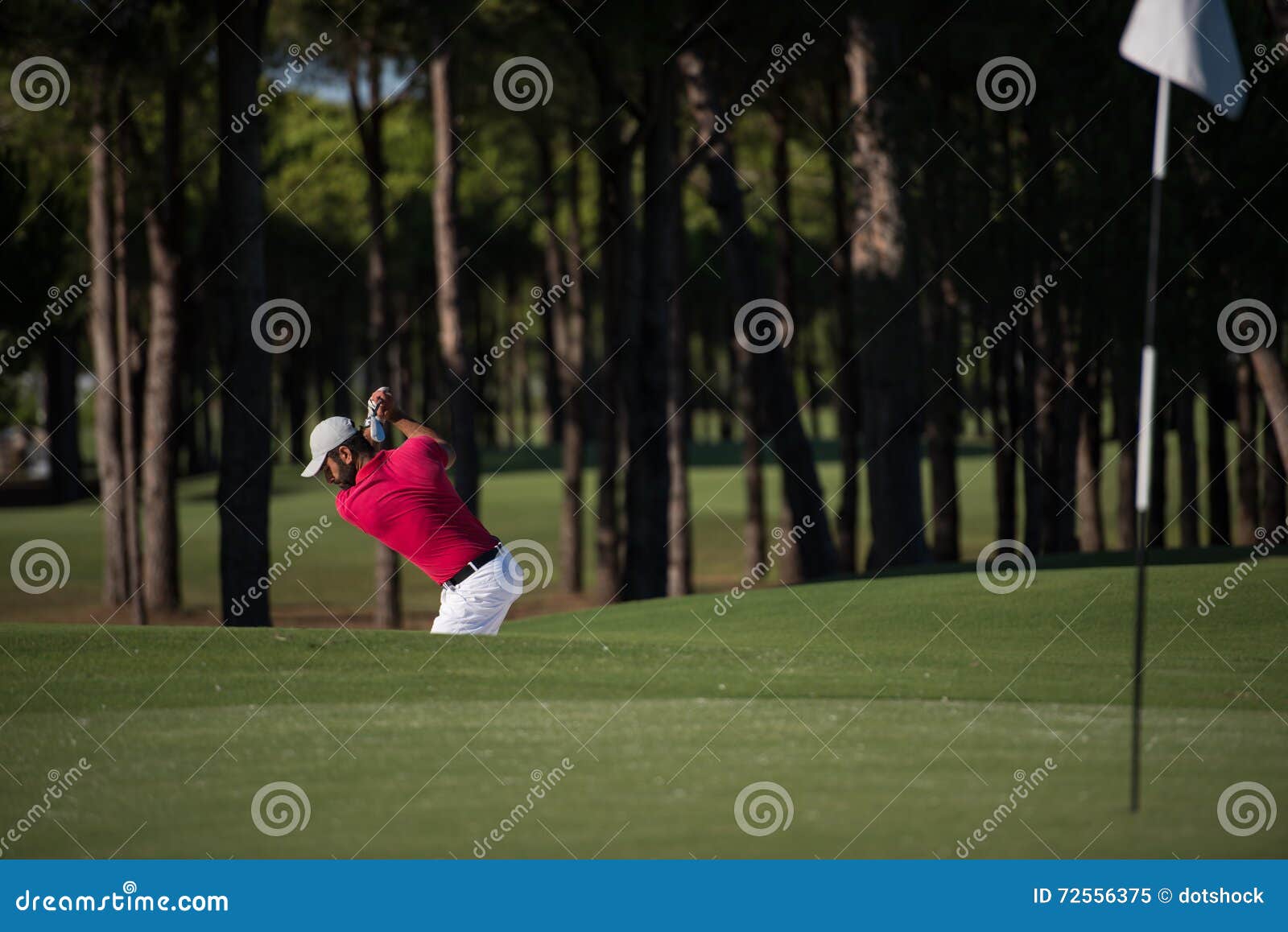 Golfer Hitting a Sand Bunker Shot Stock Image - Image of golfer, nature ...