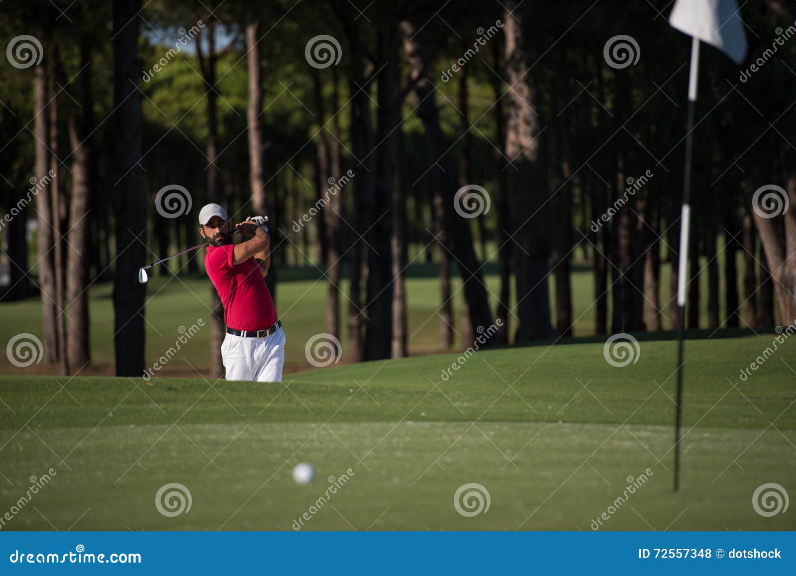 Golfer Hitting a Sand Bunker Shot Stock Photo - Image of green, outside ...