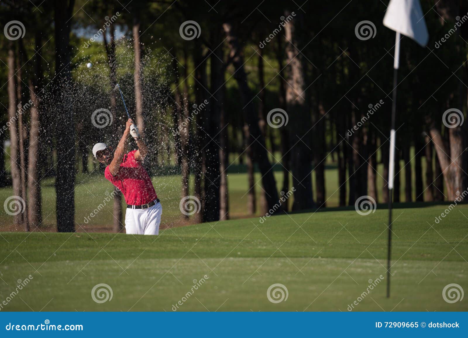 Golfer Hitting a Sand Bunker Shot Stock Image - Image of hobby, golfing ...
