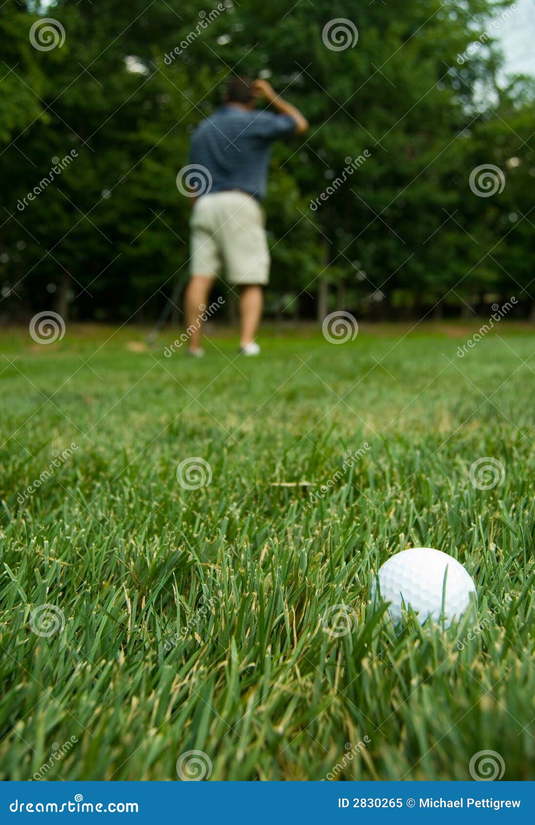 Golfer Looking for His Ball Stock Image - Image of frustration, head ...