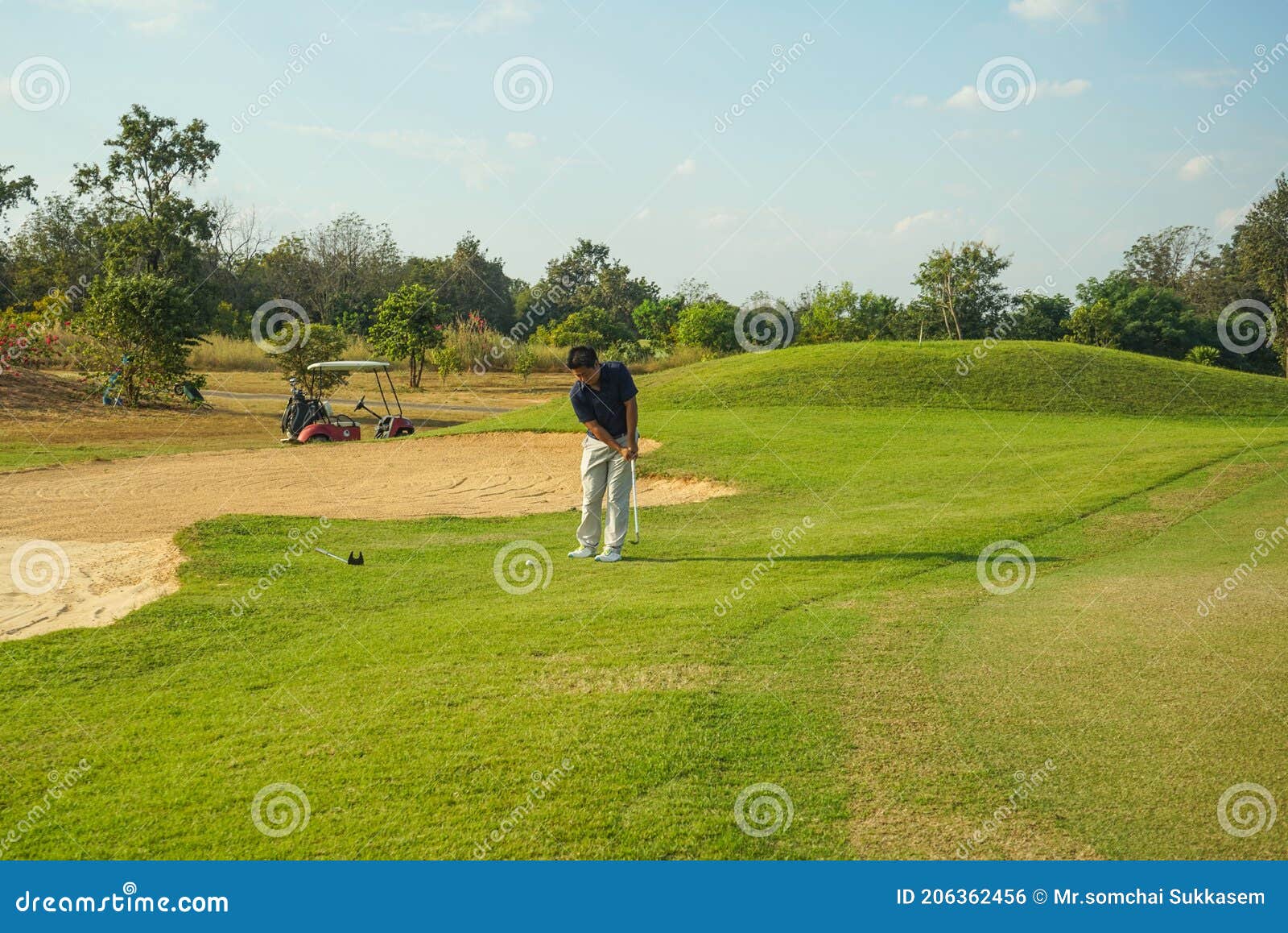 Golfer Playing Golf in the Evening Golf Course, on Sun Set Evening Time ...