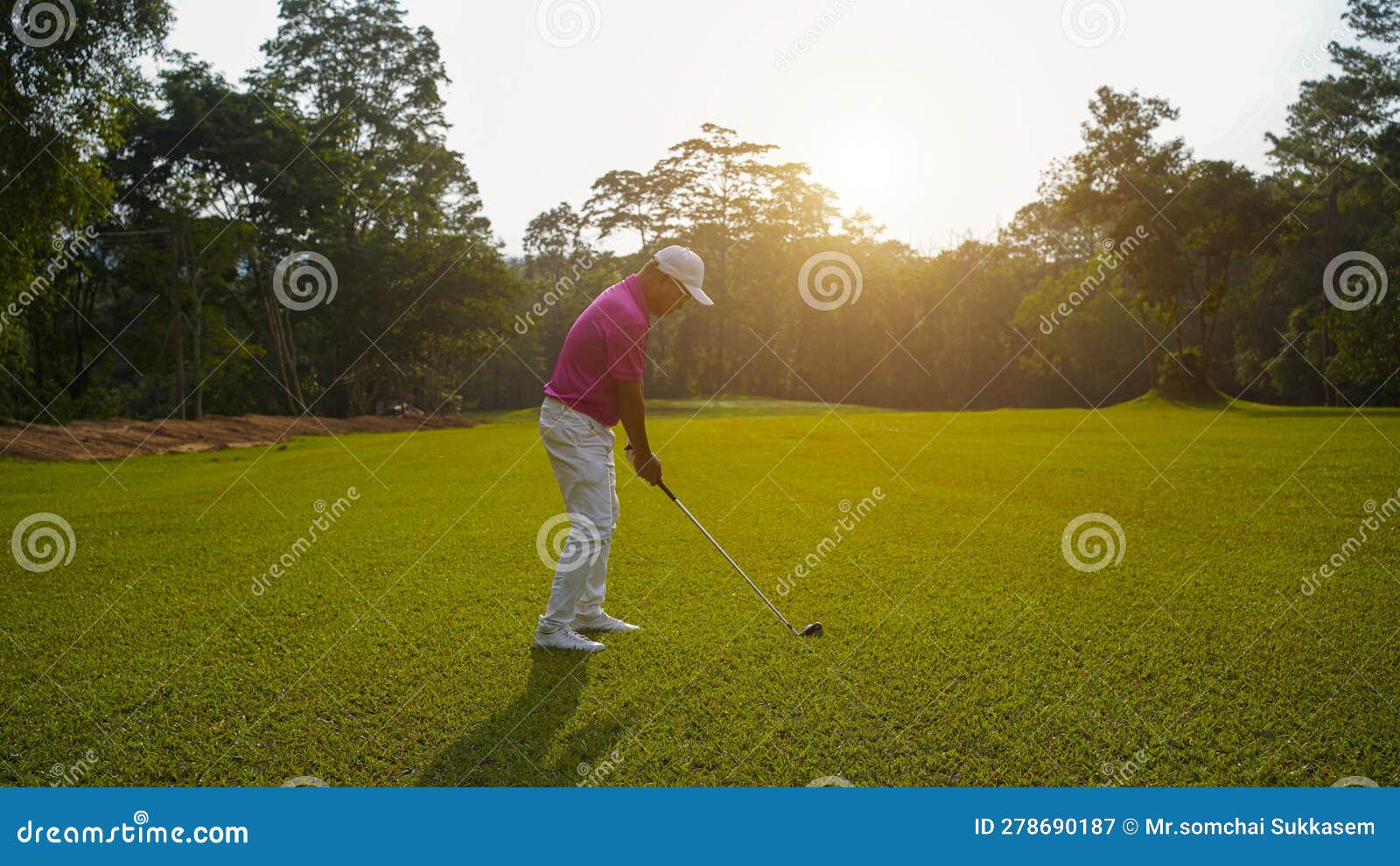 Golfer Playing Golf in the Evening Golf Course, on Sun Set Evening Time ...