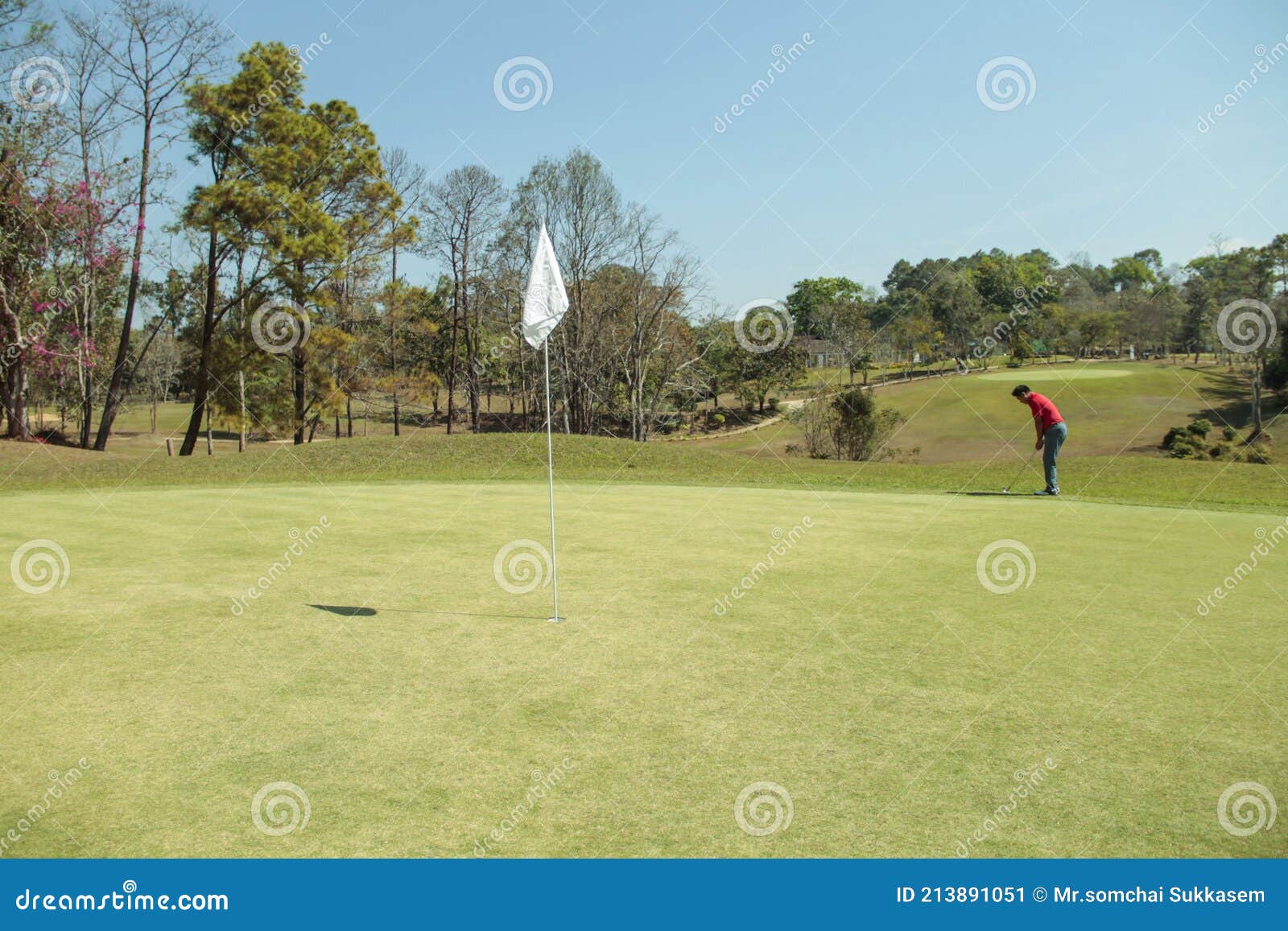 Golfer Playing Golf in the Evening Golf Course, on Sun Set Evening Time ...