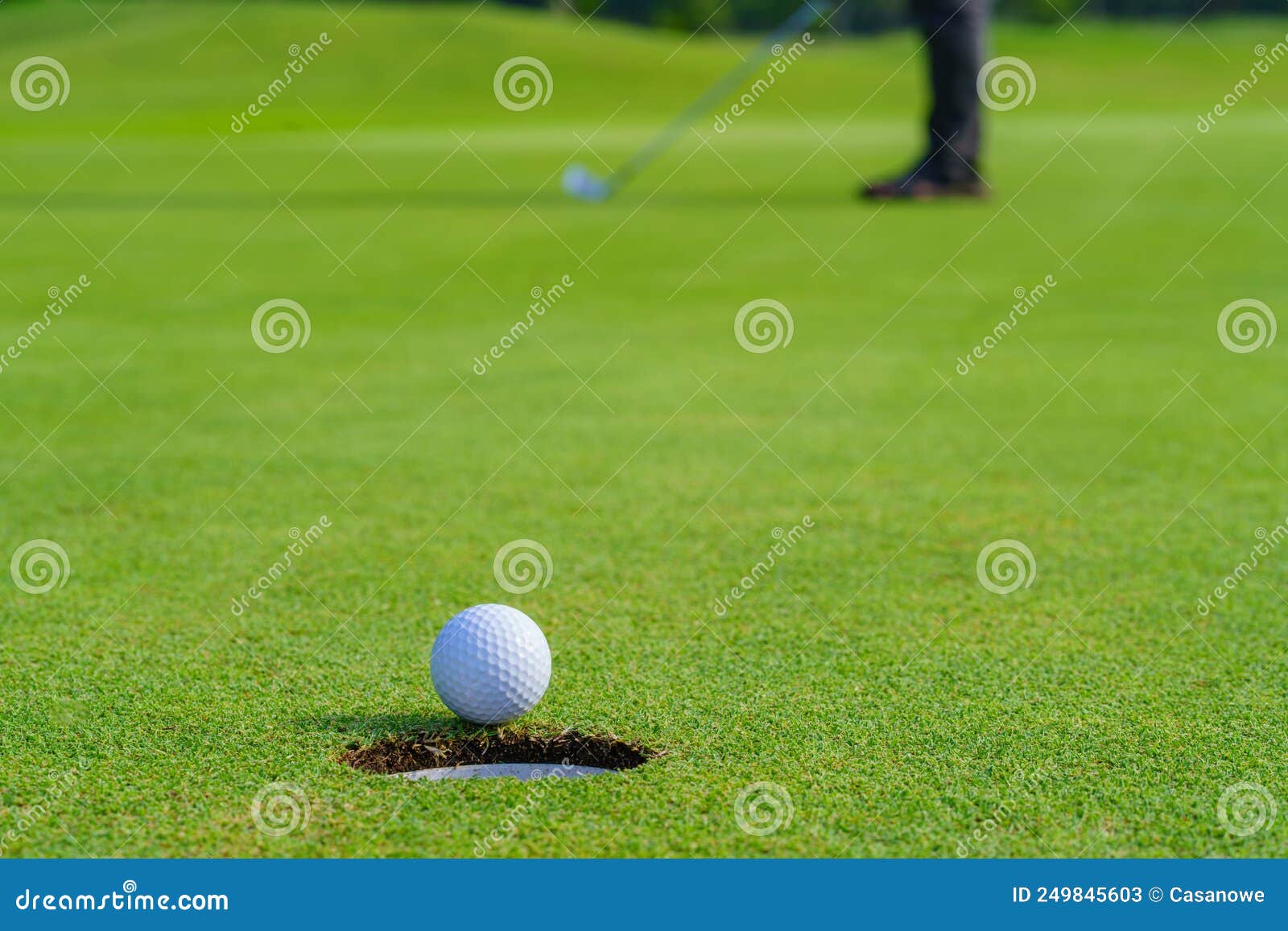 Golfer Putt Golf Ball into Hole on the Green at Golf Course Stock Image ...