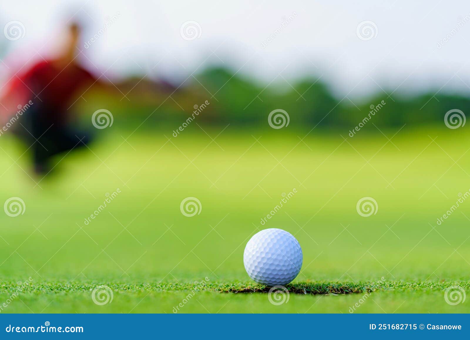 Golfer Putt Golf Ball into Hole on the Green at Golf Course Stock Image ...