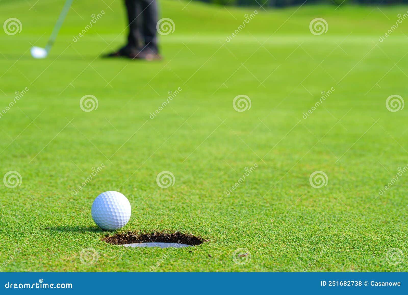 Golfer Putt Golf Ball into Hole on the Green at Golf Course Stock Photo ...