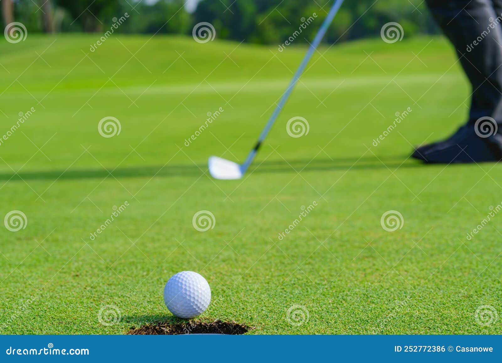 Golfer Putt Golf Ball into Hole on the Green at Golf Course Stock Photo ...