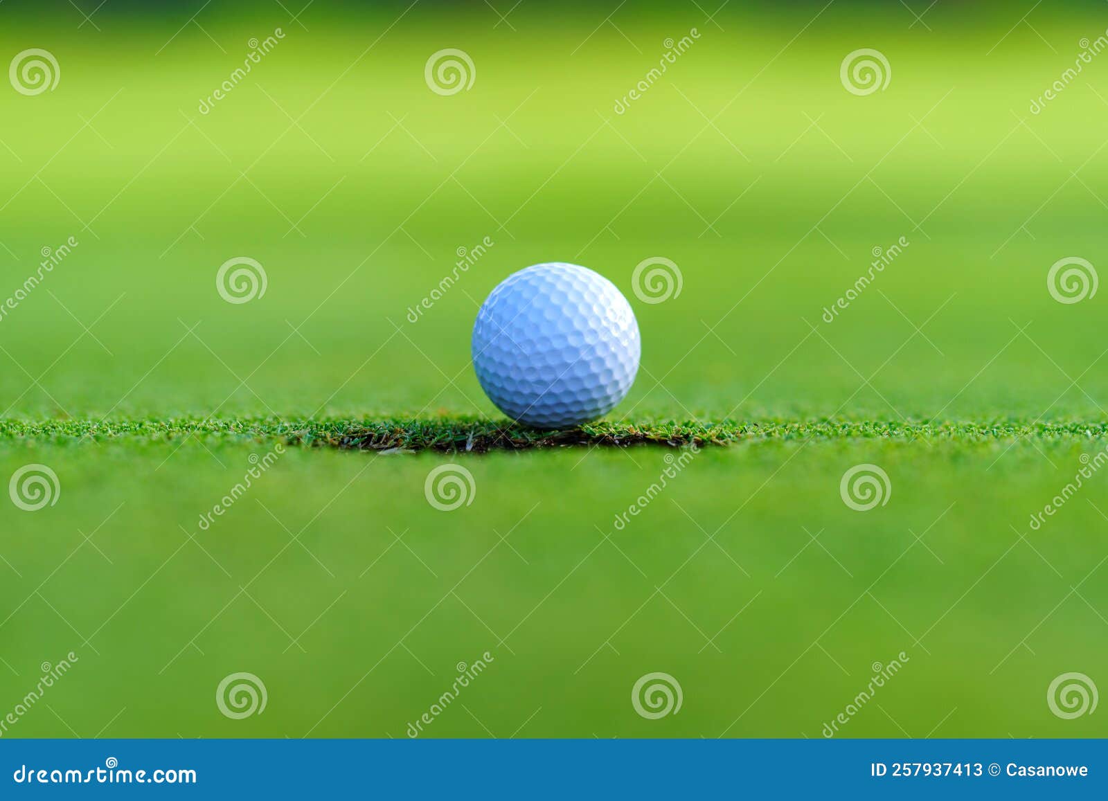 Golfer Putt Golf Ball into Hole on the Green at Golf Course Stock Image ...