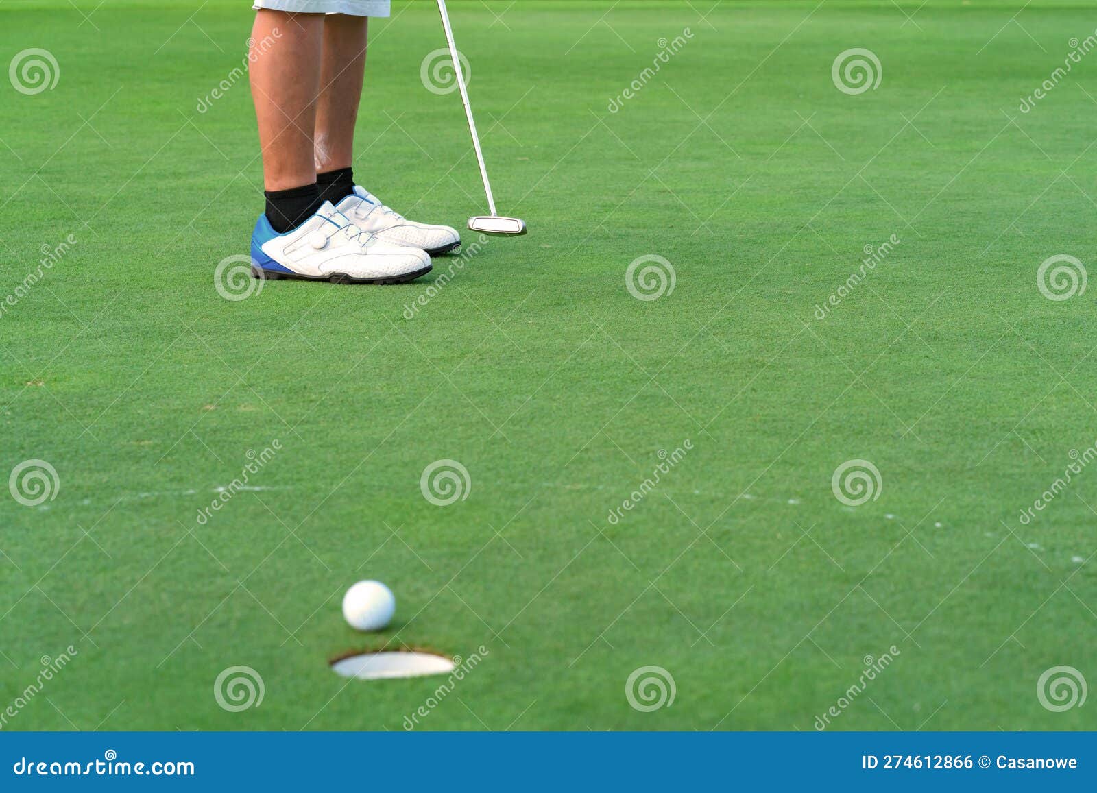 Golfer Putt Golf Ball into Hole on the Green at Golf Course Stock Photo ...