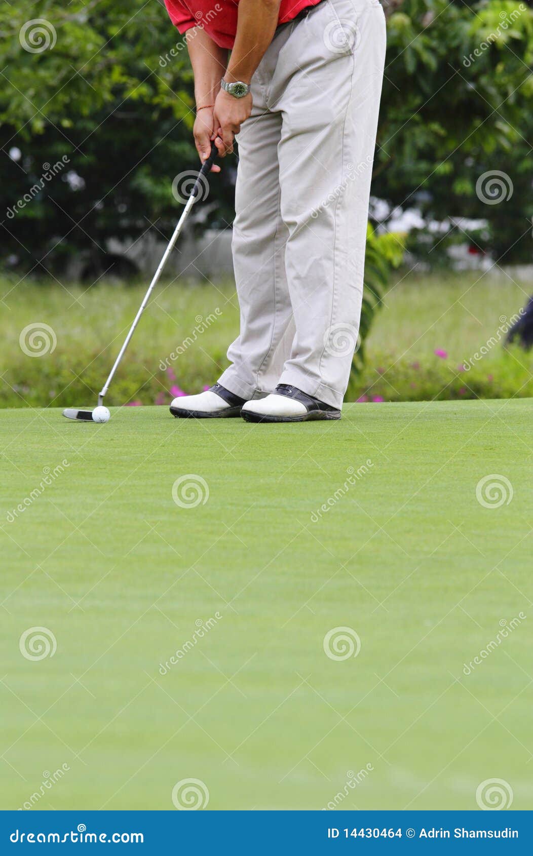 Golfer putting stock photo. Image of playing, golf, body - 14430464