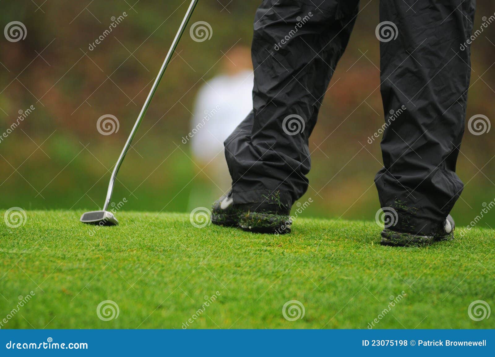 Golfer putting stock photo. Image of green, feet, putter - 23075198