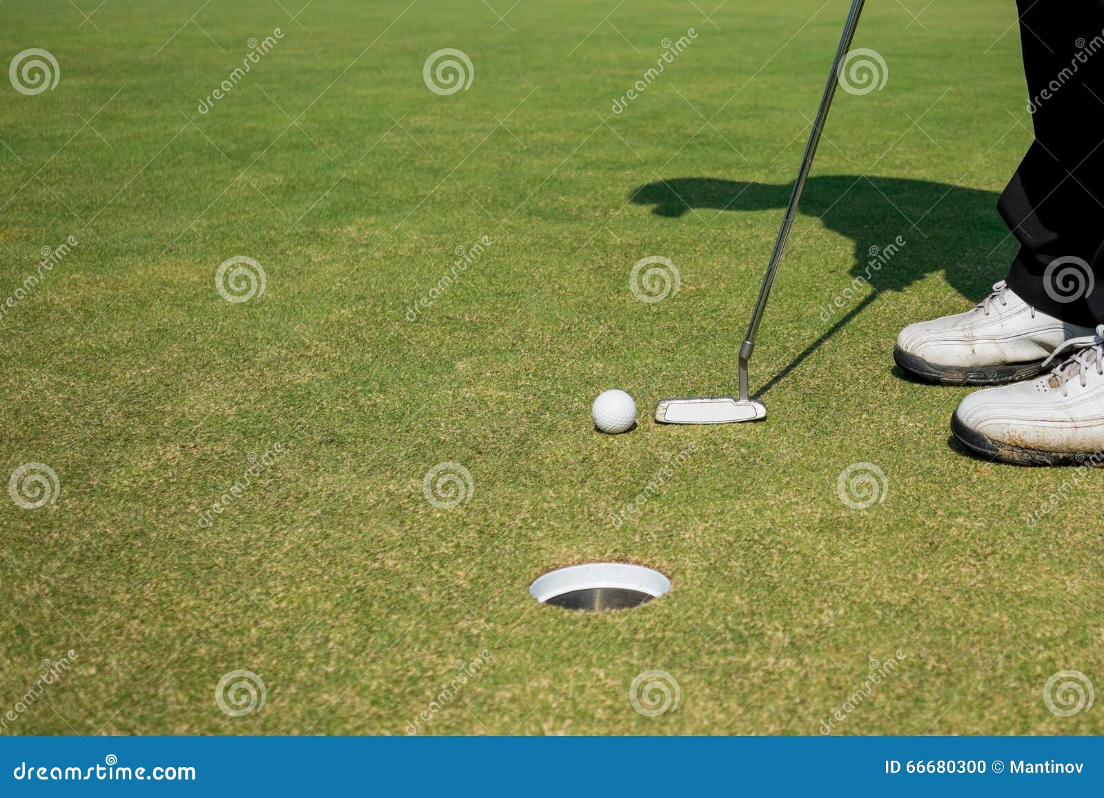 Golfer putting golf ball stock photo. Image of play, flag - 66680300