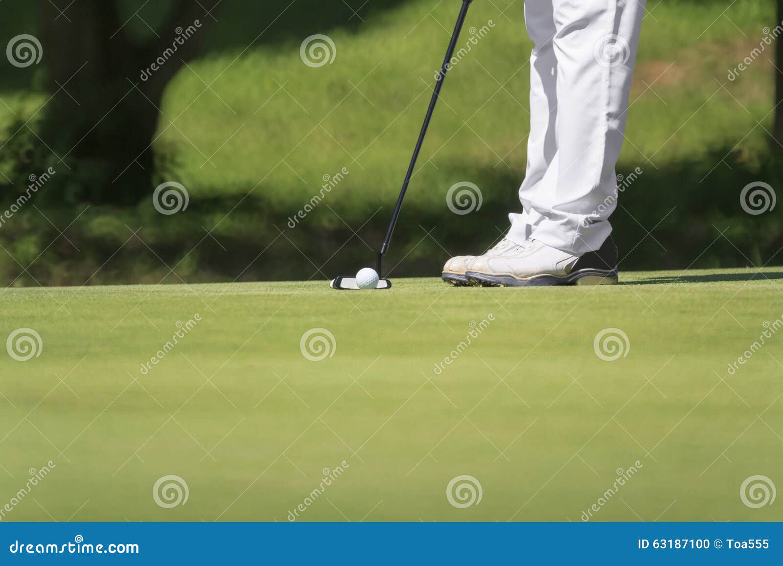 Golfer putting, stock photo. Image of grass, putt, recreation - 63187100