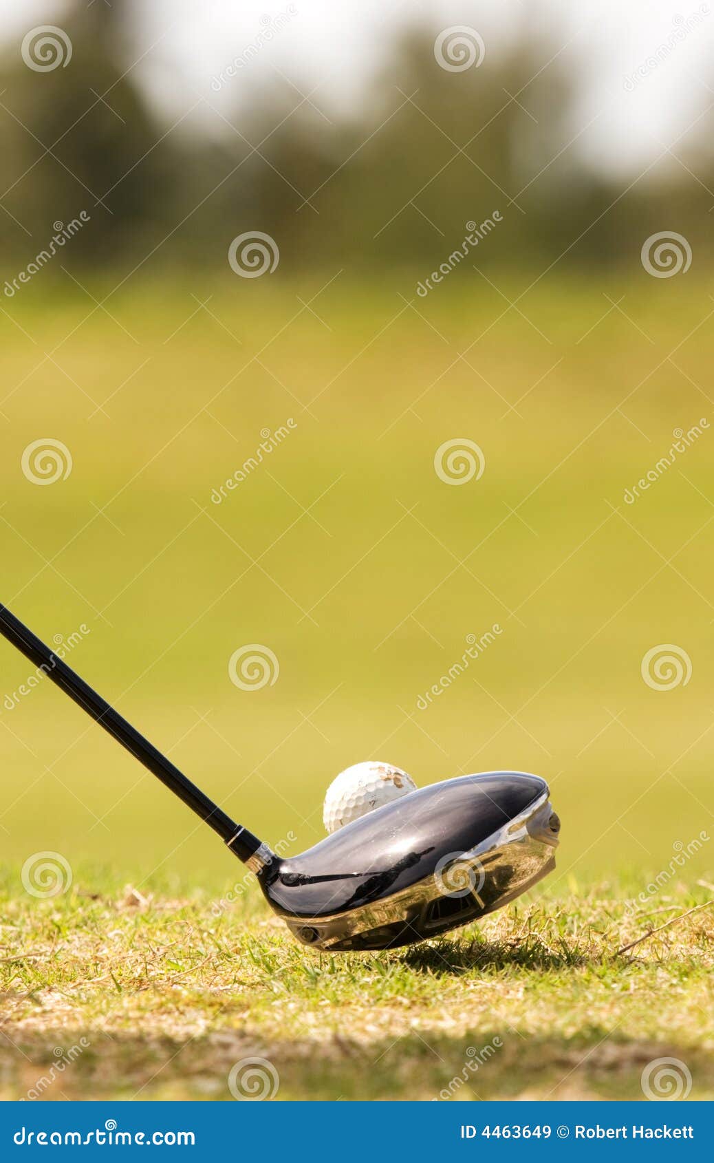 Golfer reflections stock image. Image of shaft, sport - 4463649