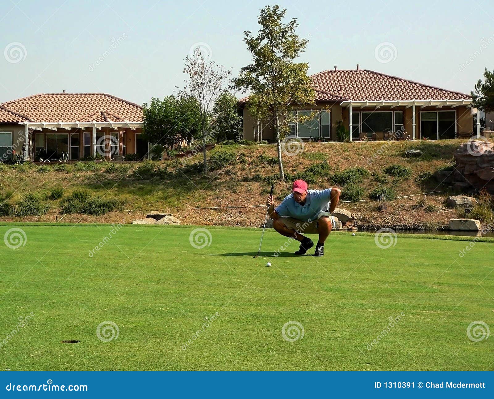 Golfer s Putting stock image. Image of birdie, green, athletic - 1310391