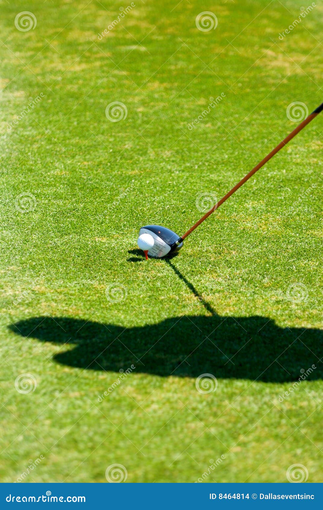 Golfer S Shadow while Preparing To Put Stock Photo - Image of flag ...
