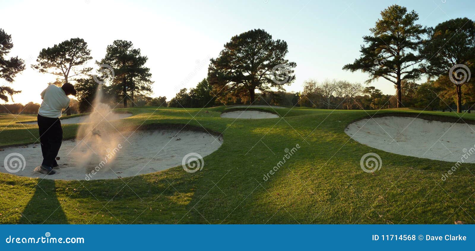 Golfer in sand trap stock photo. Image of swinging, twilight - 11714568