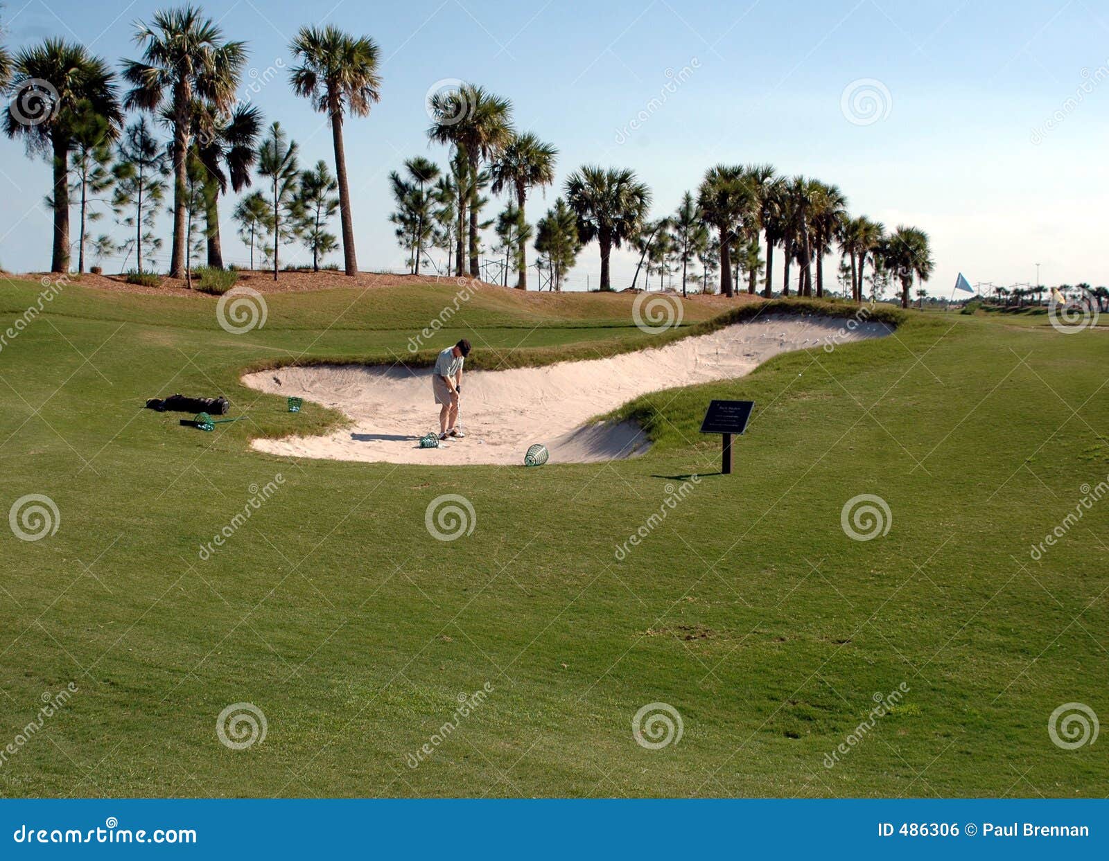 Golfer in a Sand Trap stock photo. Image of palm, trees - 486306