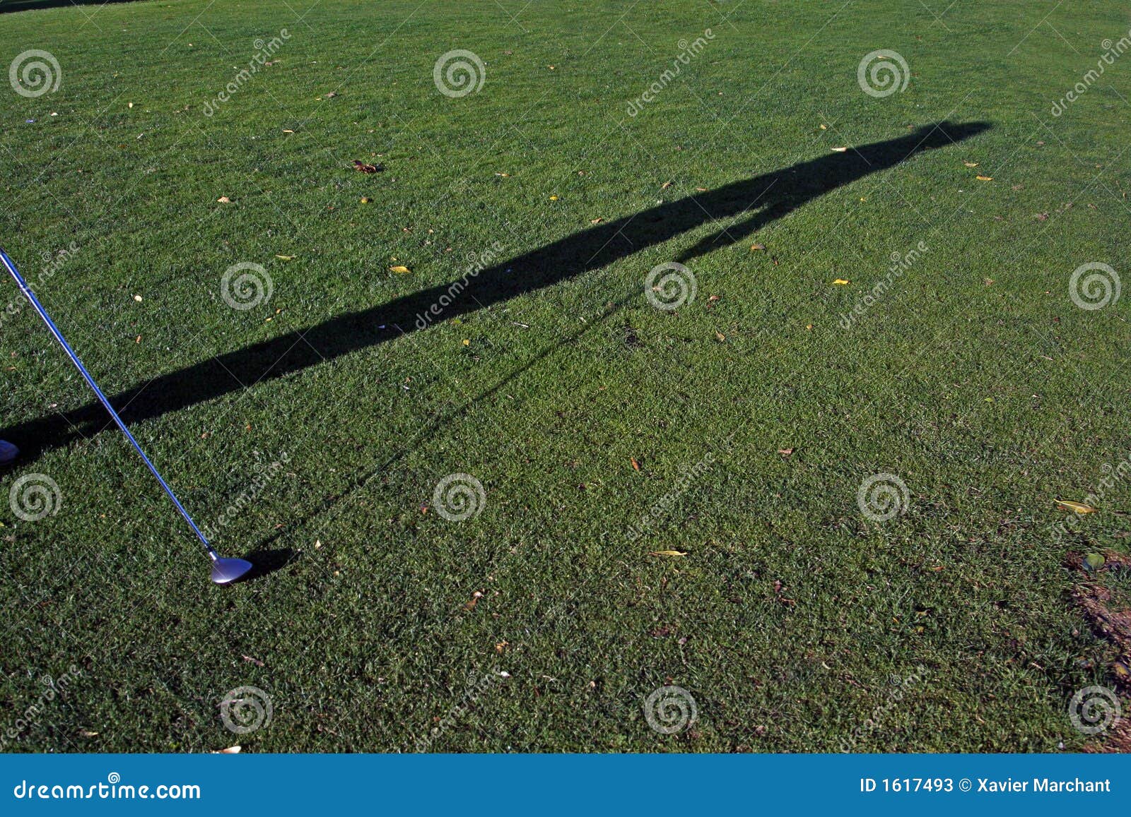 Golfer shadow stock image. Image of training, birdie, practice - 1617493