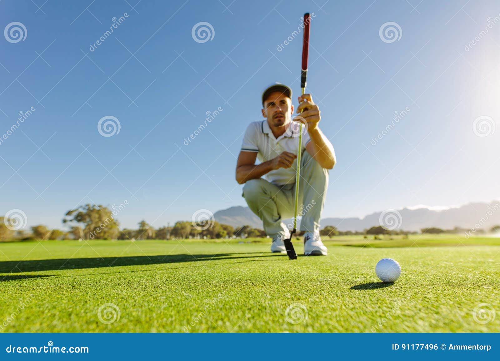 Golfer Study the Green before Putting Shot Stock Photo - Image of ...