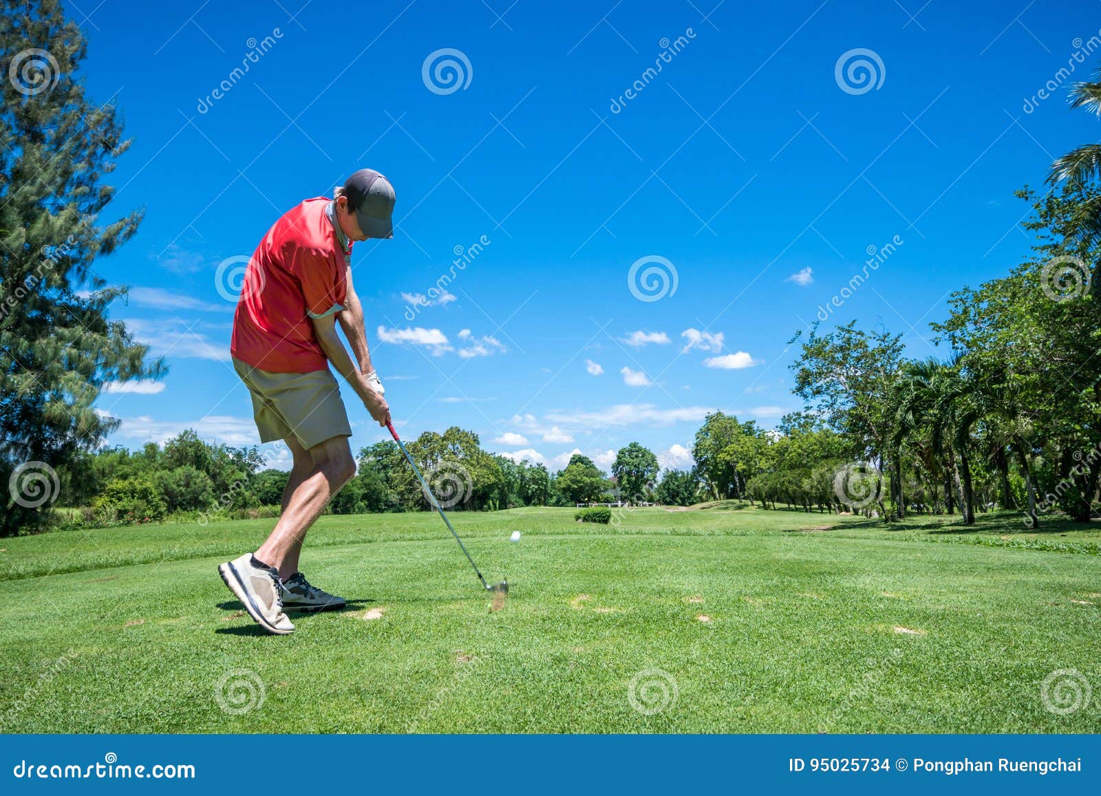 Golfer tee off stock photo. Image of golfing, grass, play - 95025734