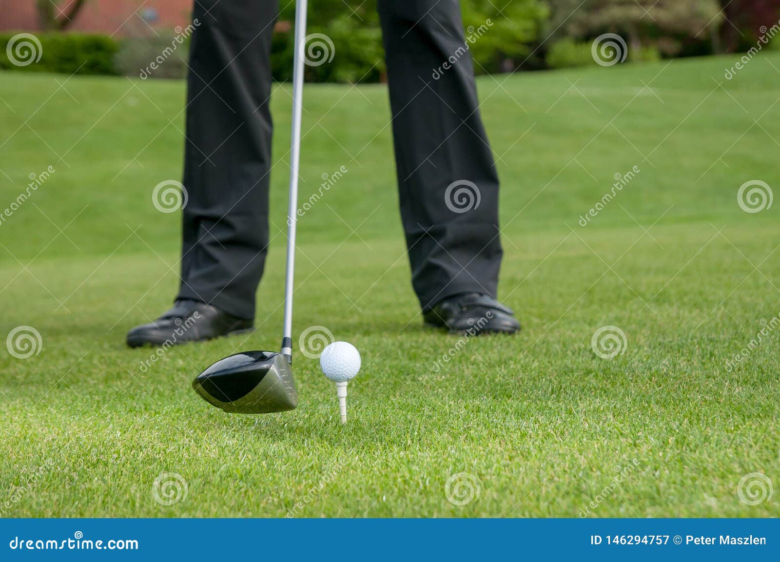 Golfer Teeing Off on the Golf Course Stock Image - Image of green ...