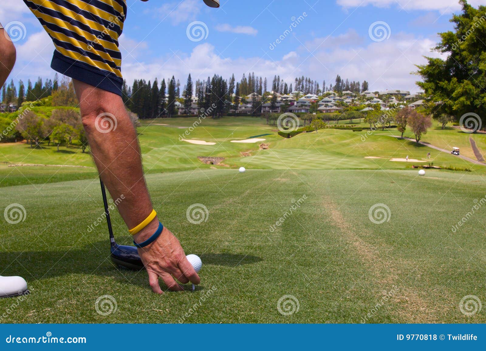 Golfer Teeing it Up stock photo. Image of ball, golf, sport - 9770818
