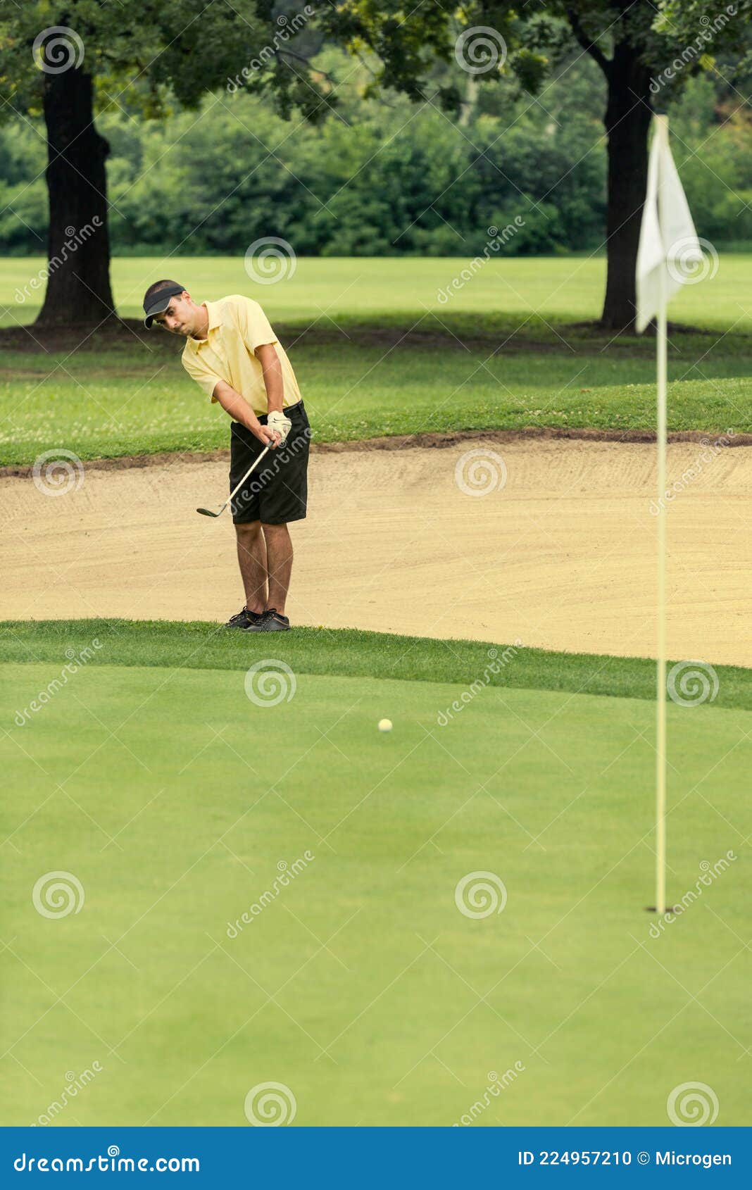 Chipping stock photo. Image of adult, playing, holding - 224957210
