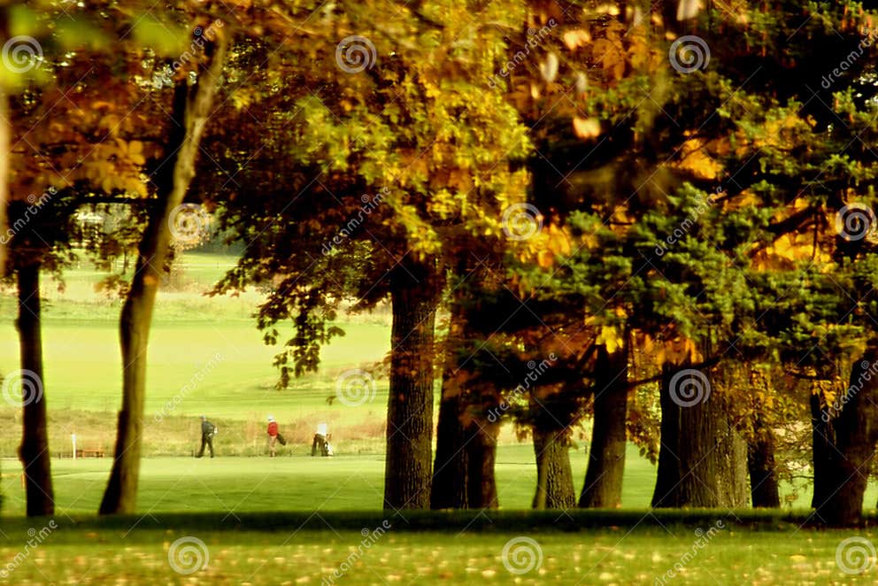Golfers stock image. Image of autumn, waiting, leasure - 4649317