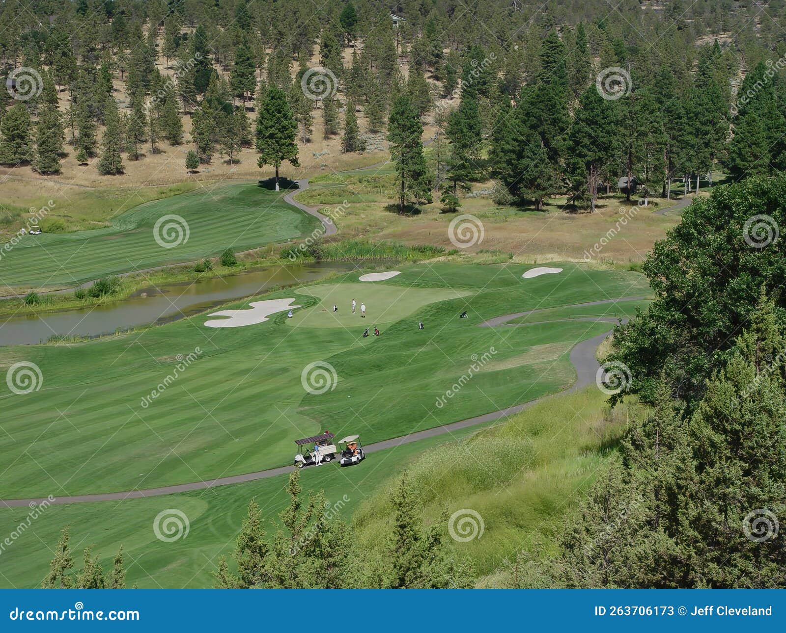 Golfers and Carts on Golf Course with Trees Stock Image - Image of ...