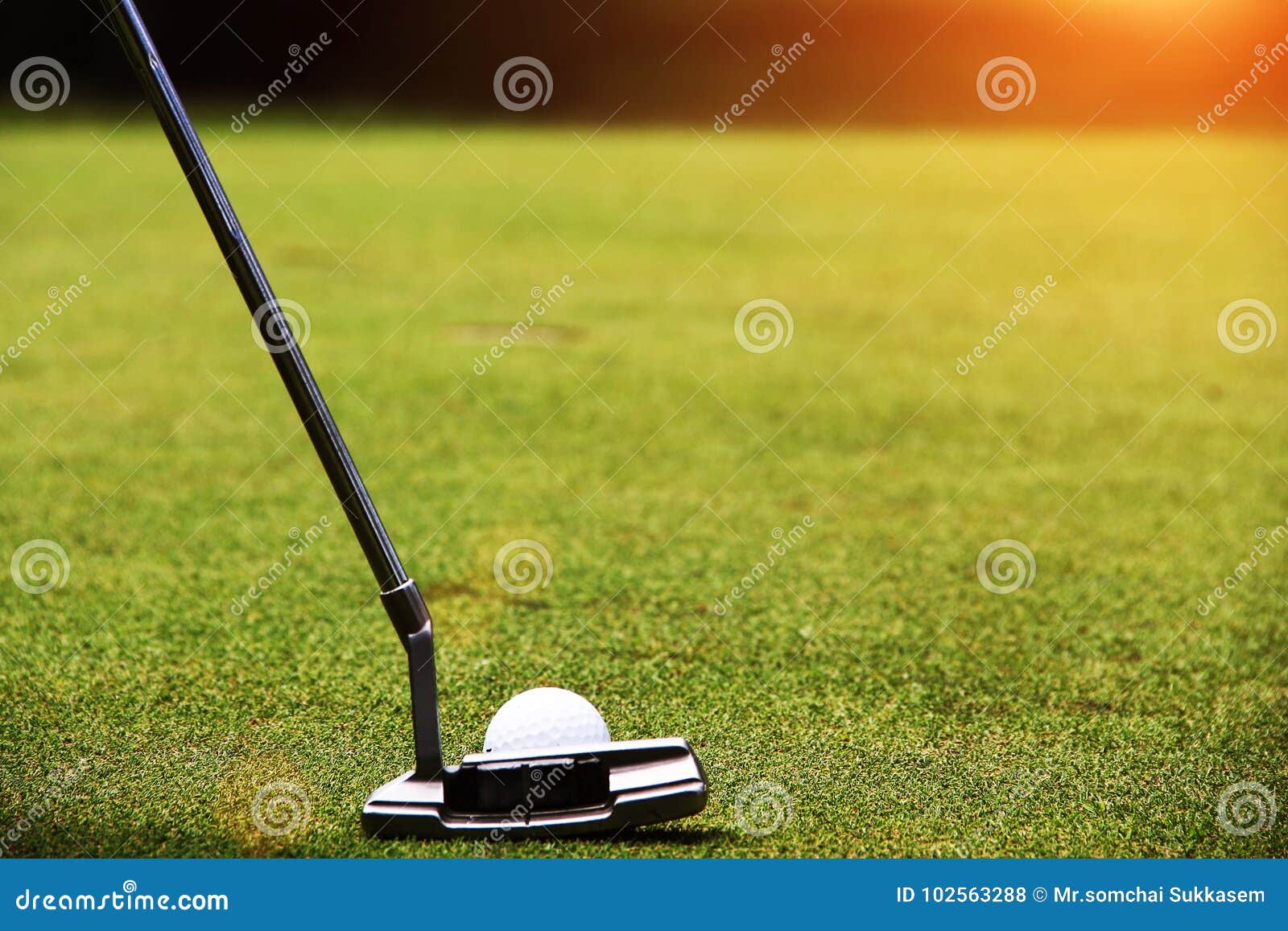 Golfers are Putting Golf in the Evening Golf Course Stock Photo - Image ...