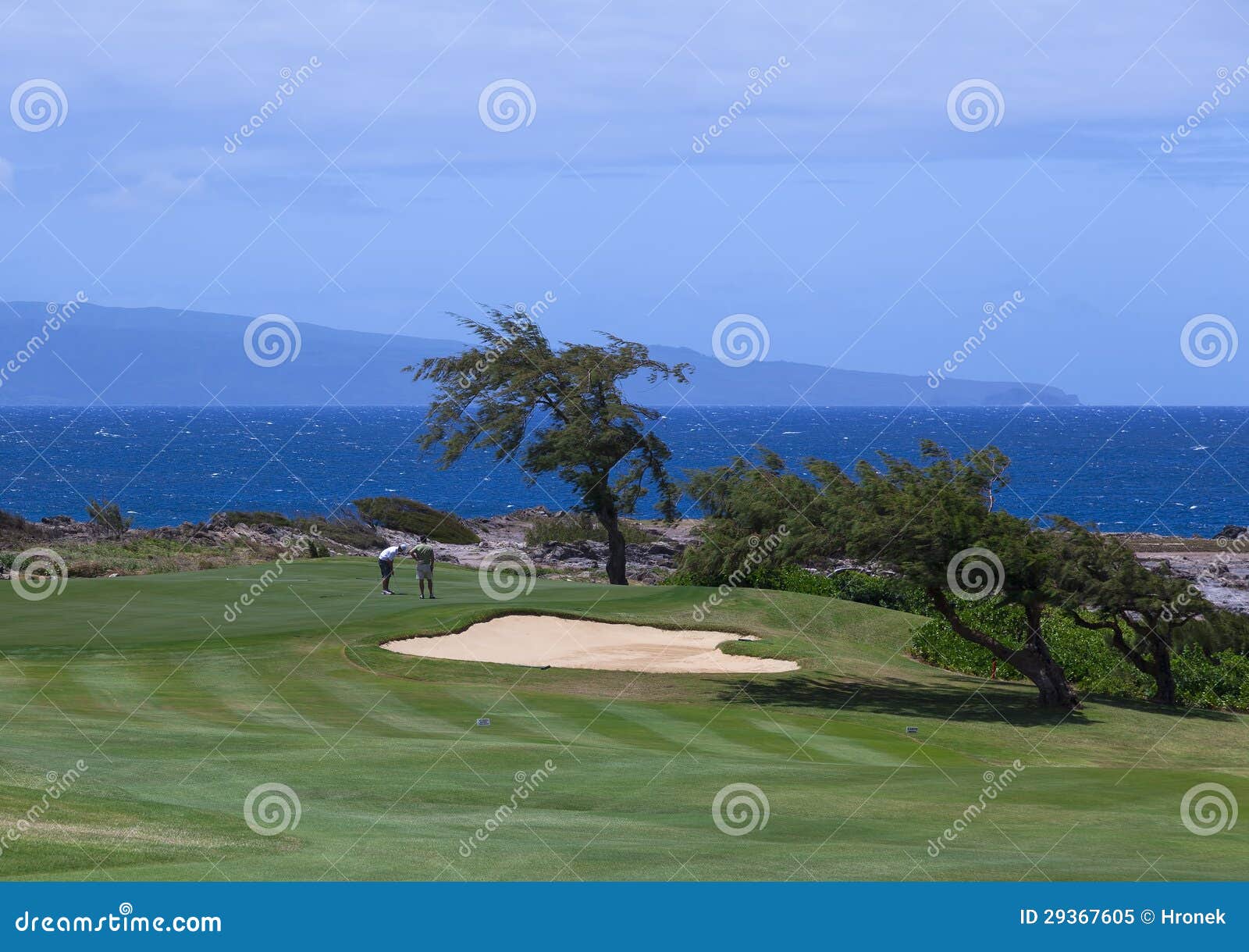 Golfers Putting beside Ocean on Kapalua Stock Image - Image of maui ...