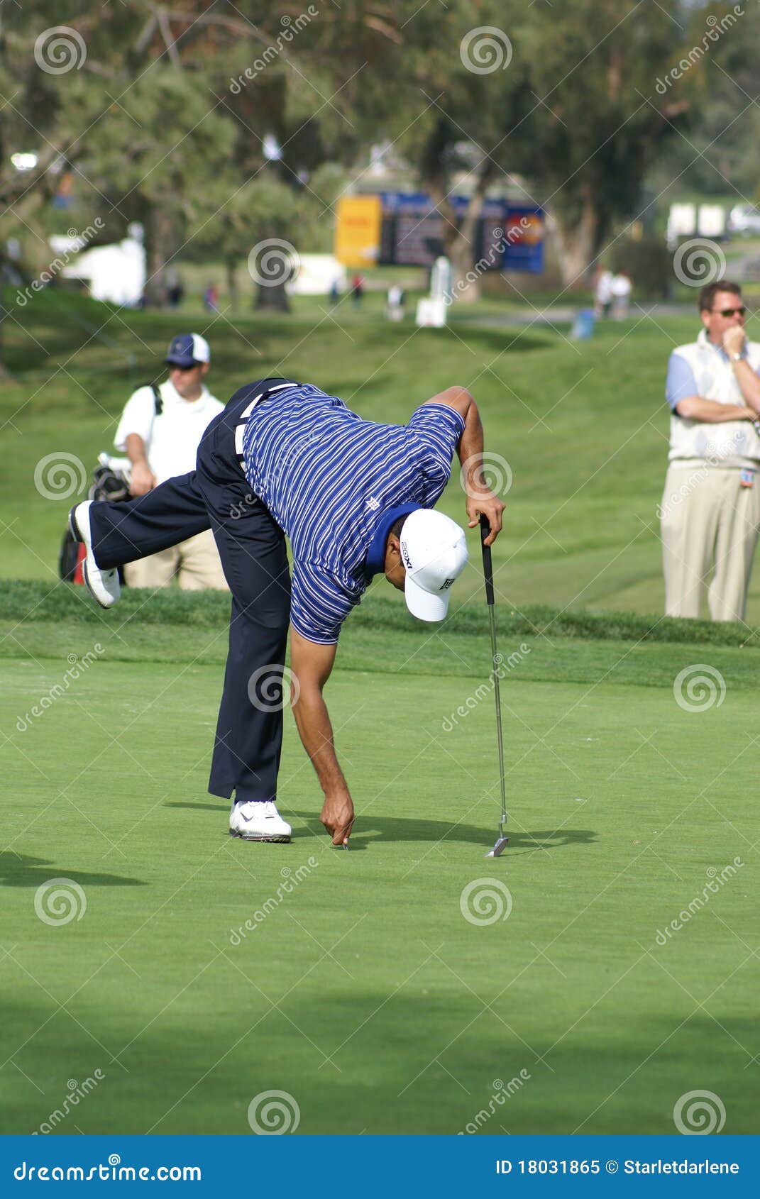 Golfeur Professionnel De Tiger Woods Image éditorial - Image du ...