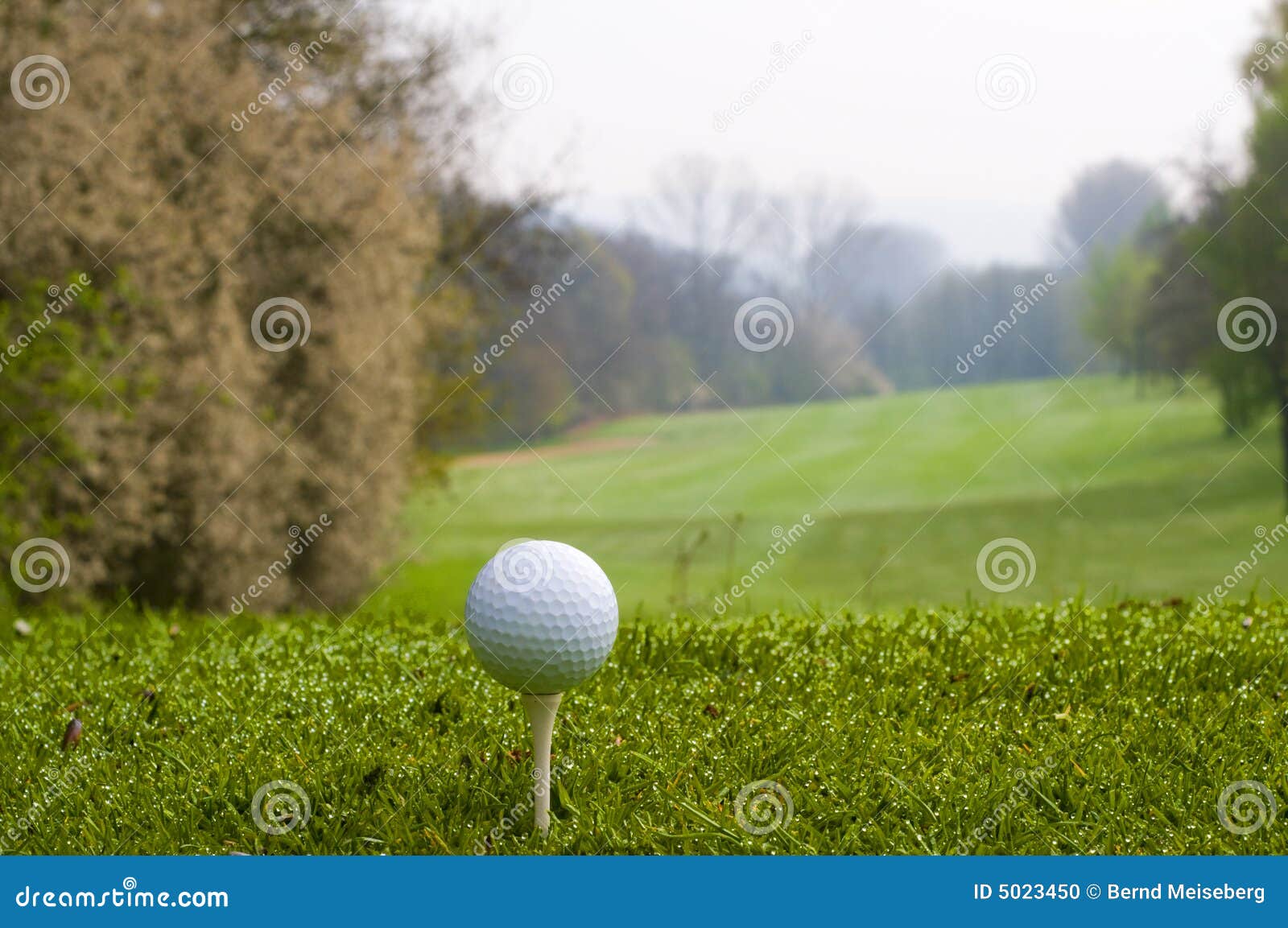 Golfing stock photo. Image of pitch, next, shelter, putter - 5023450