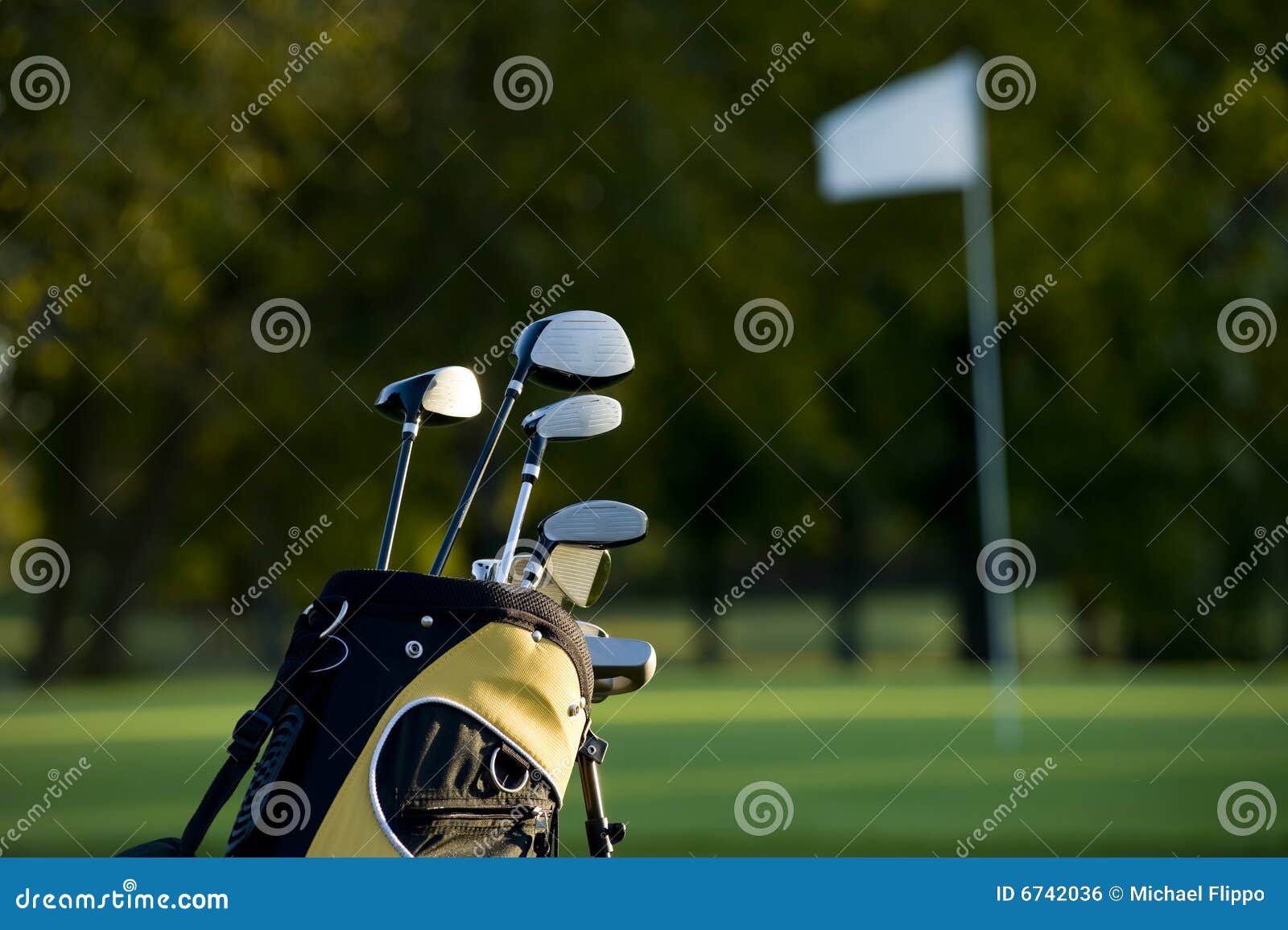 Golfing stock photo. Image of items, competition, sport - 6742036