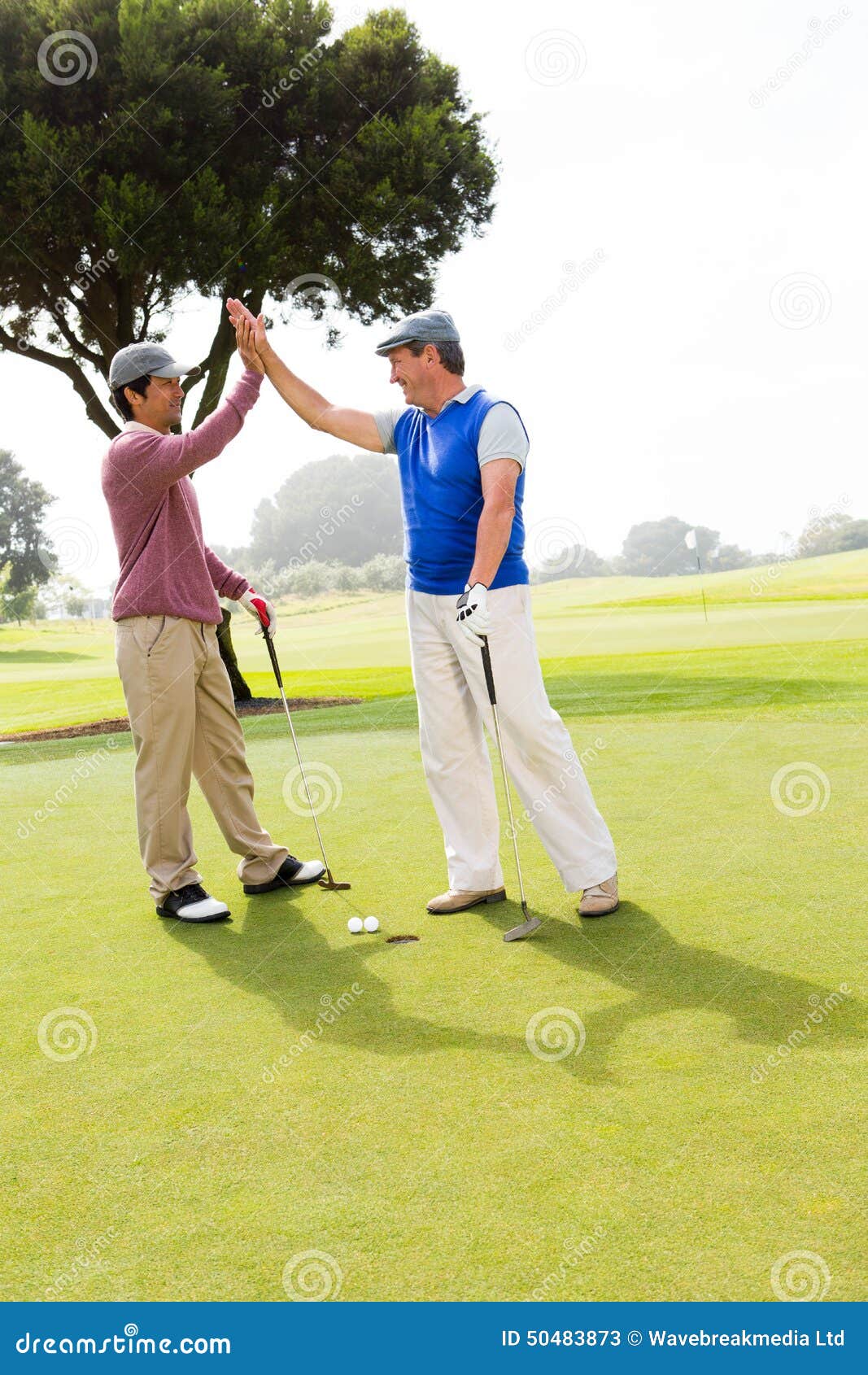 Golfing Friends High Fiving on the Hole Stock Image - Image of green ...