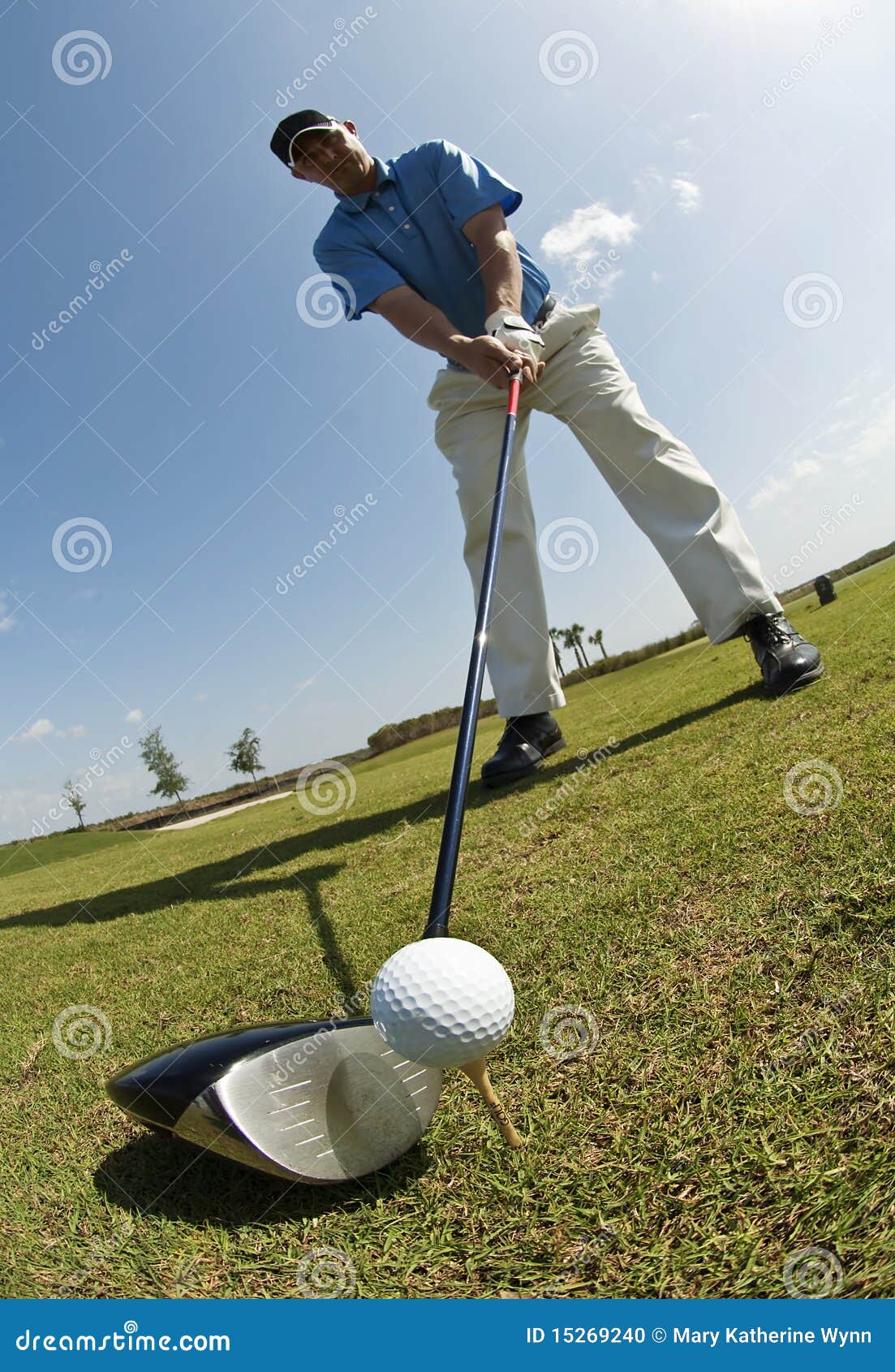 Golfing man stock photo. Image of action, driver, iron - 15269240