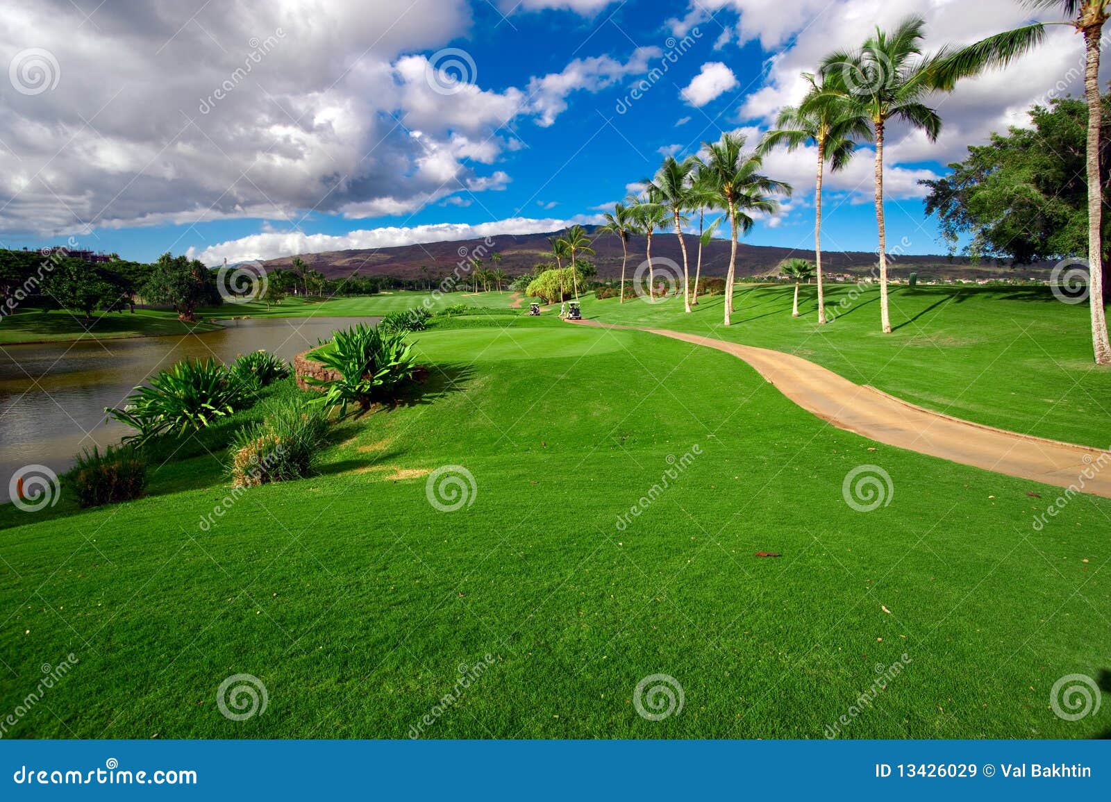 Golfing in Oahu, Hawaii stock image. Image of palm, oahu - 13426029