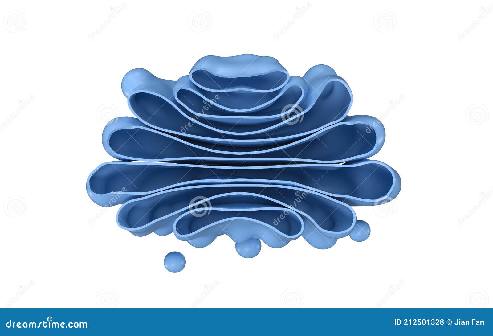 Golgi Apparatus of the Cell, Close-up View, 3d Rendering Stock ...