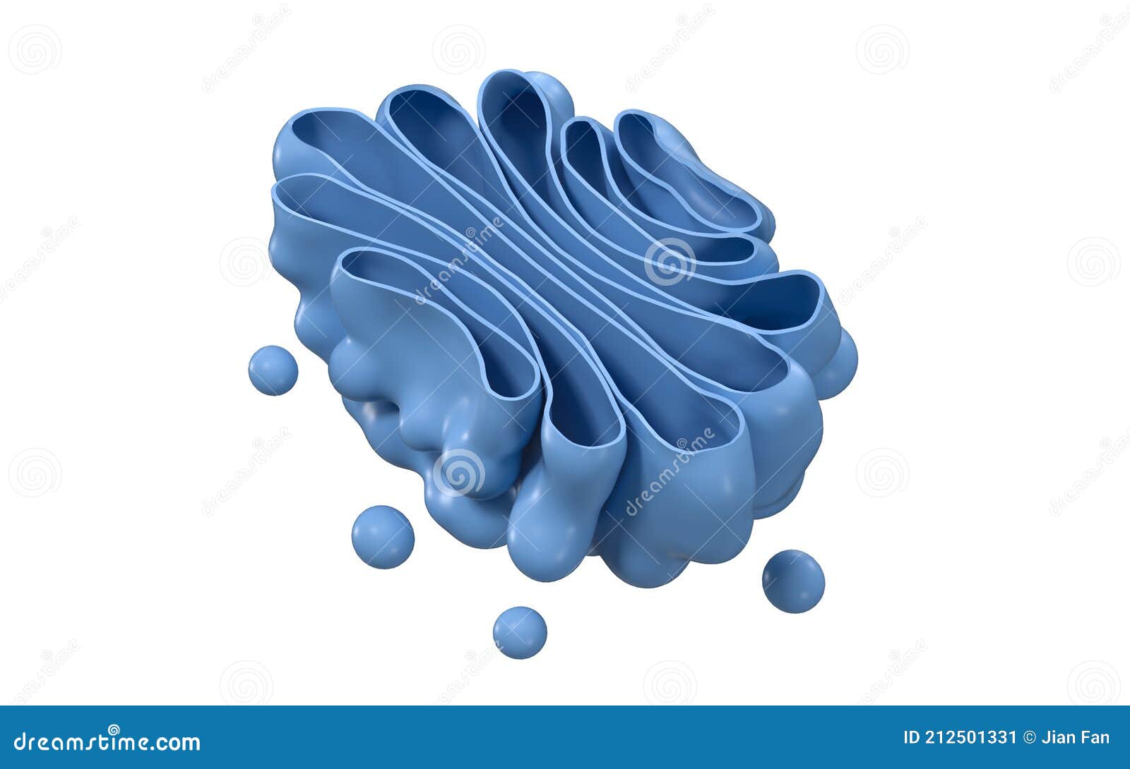 Golgi Apparatus In Animal Cell 3d