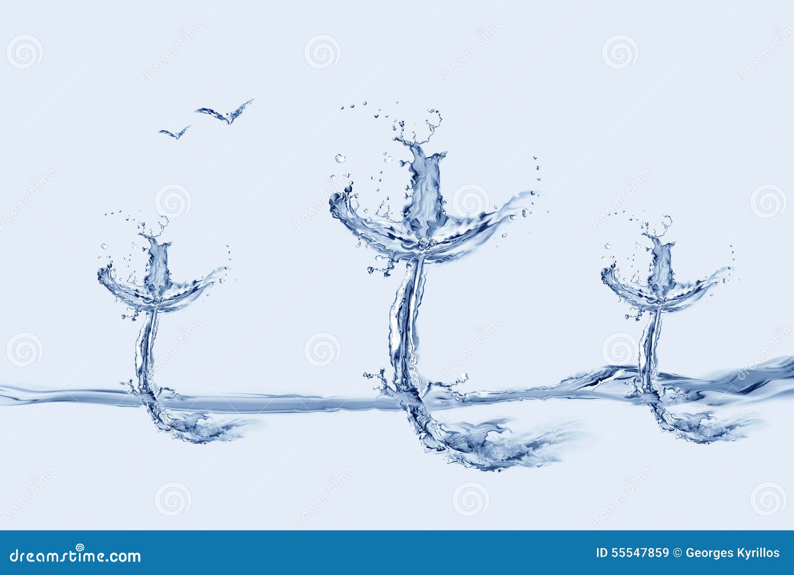 Three Water Crosses Birds Stock Photos - Free & Royalty-Free Stock ...