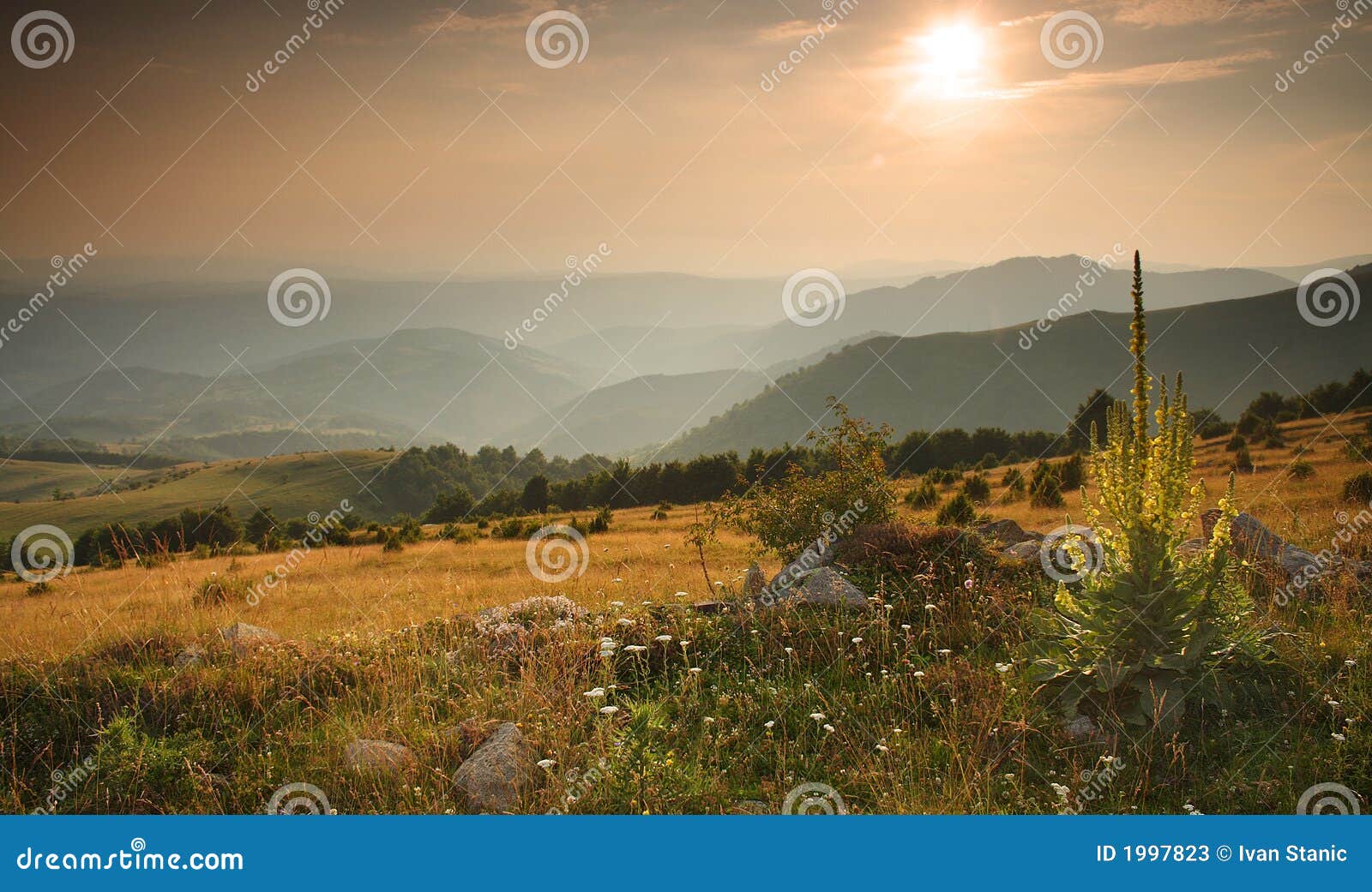 Golija Mountain, Serbia stock image. Image of range, back - 1997823