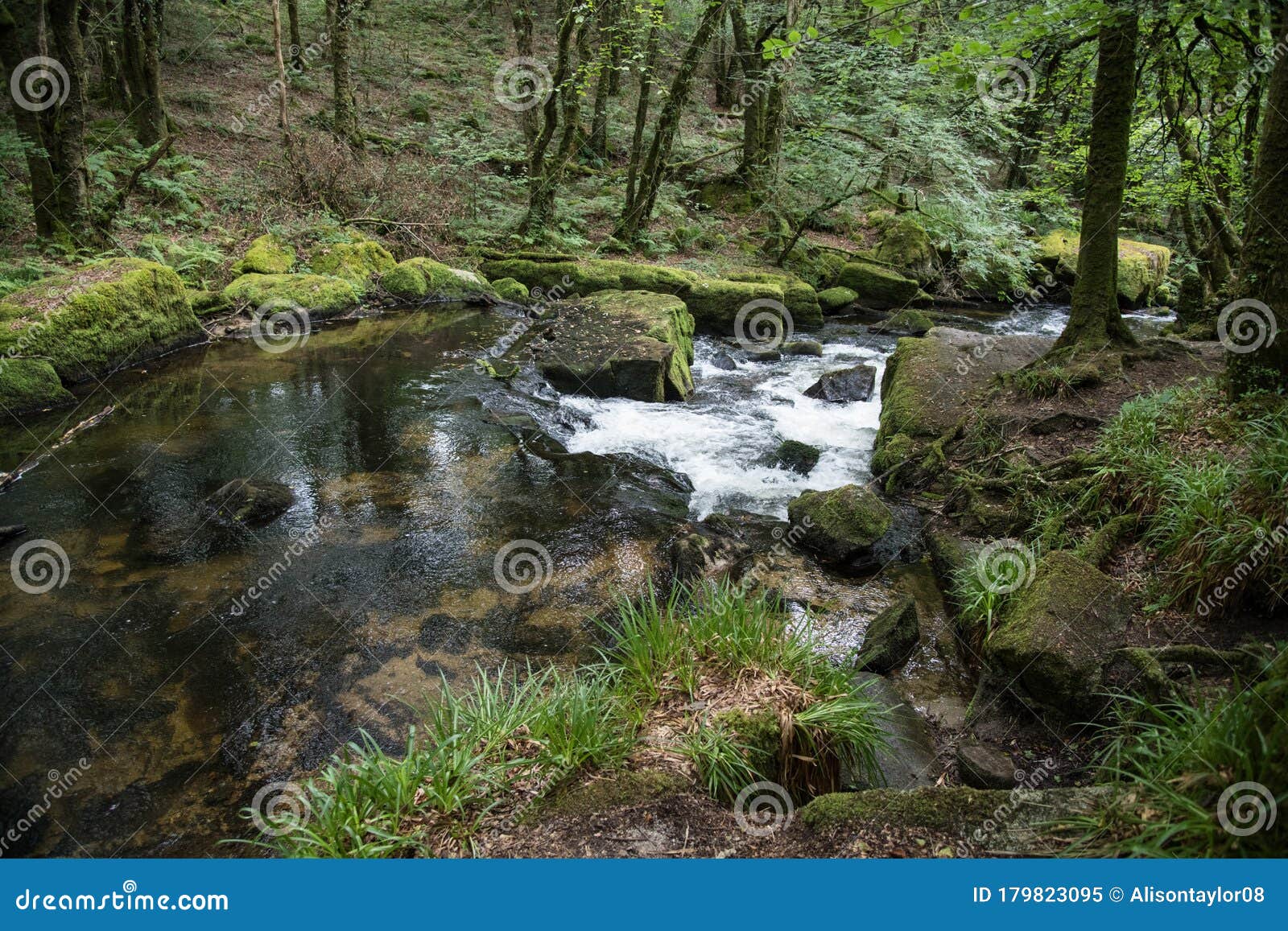 Golitha Falls, Cornwall, in Autumn Stock Image - Image of bodmin ...