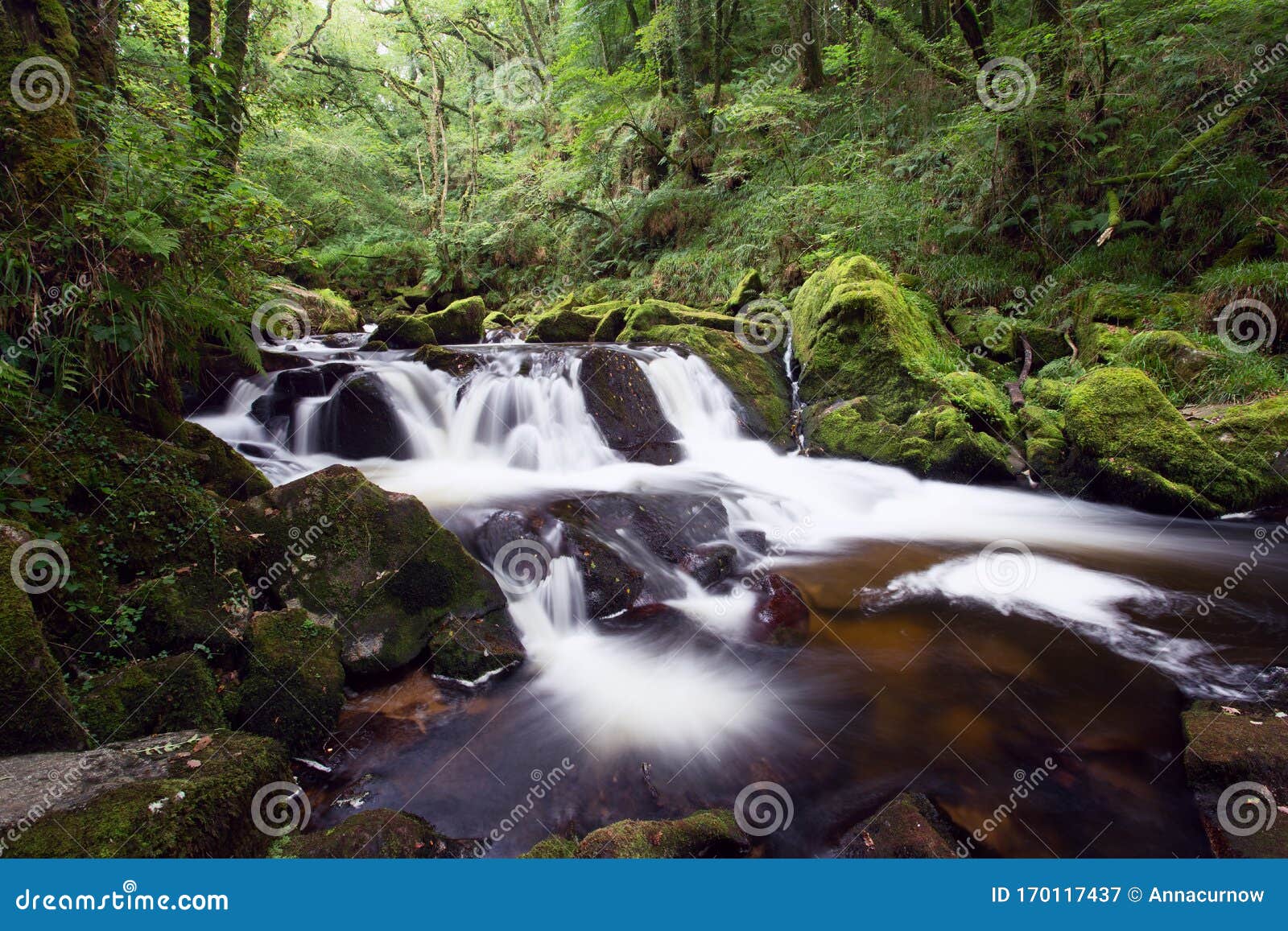 Golitha falls Cornwall stock image. Image of national - 170117437