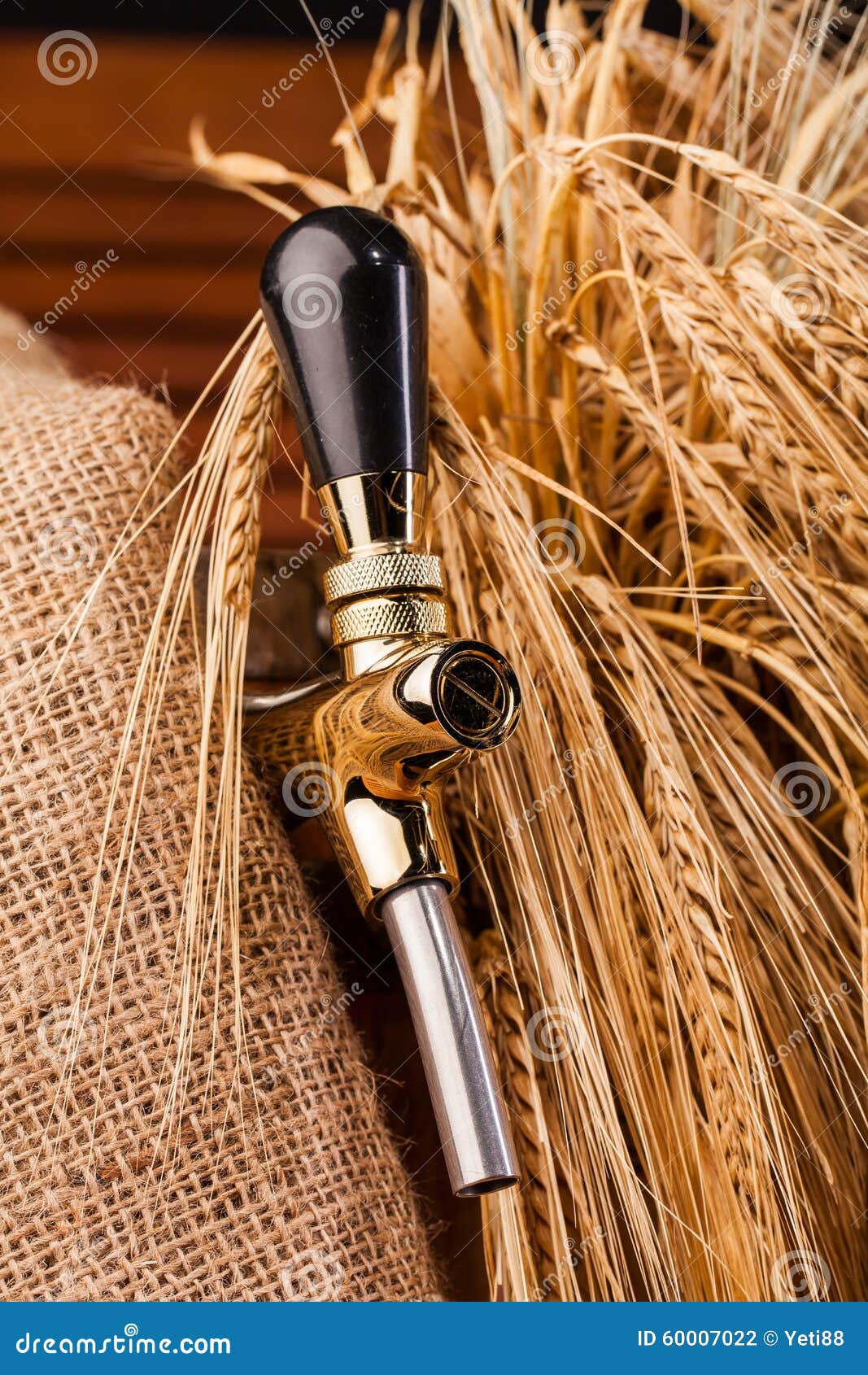 Golpecito De La Cerveza Y Puntos De La Cebada Foto de archivo - Imagen ...